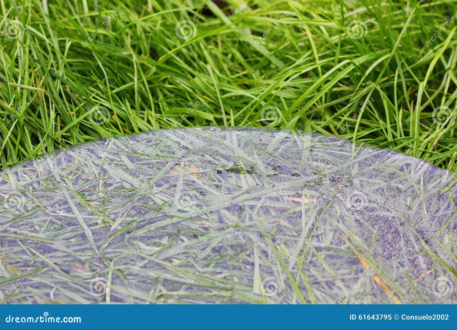 Ice Disk on the Green Grass Stock Image - Image of grass, drive: 61643795