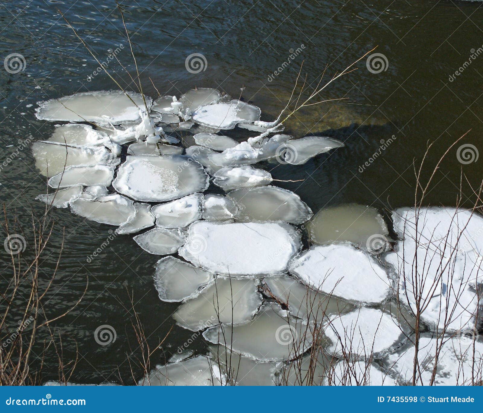 Ice disks on winter river stock photo. Image of floating - 7435598