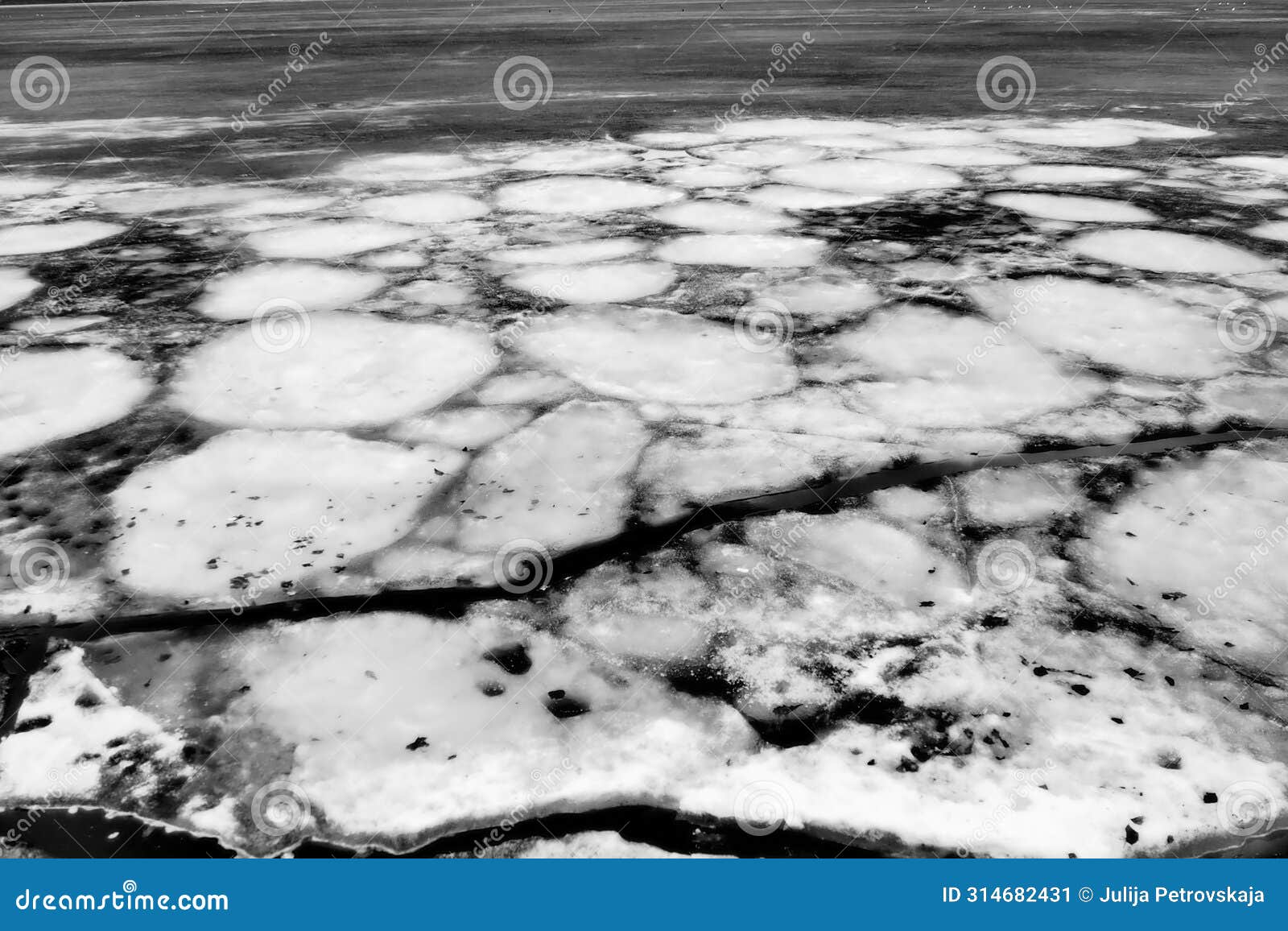 Ice Drift In Spring On Lake Onega Karelia Dangerous Thin Spring Ice