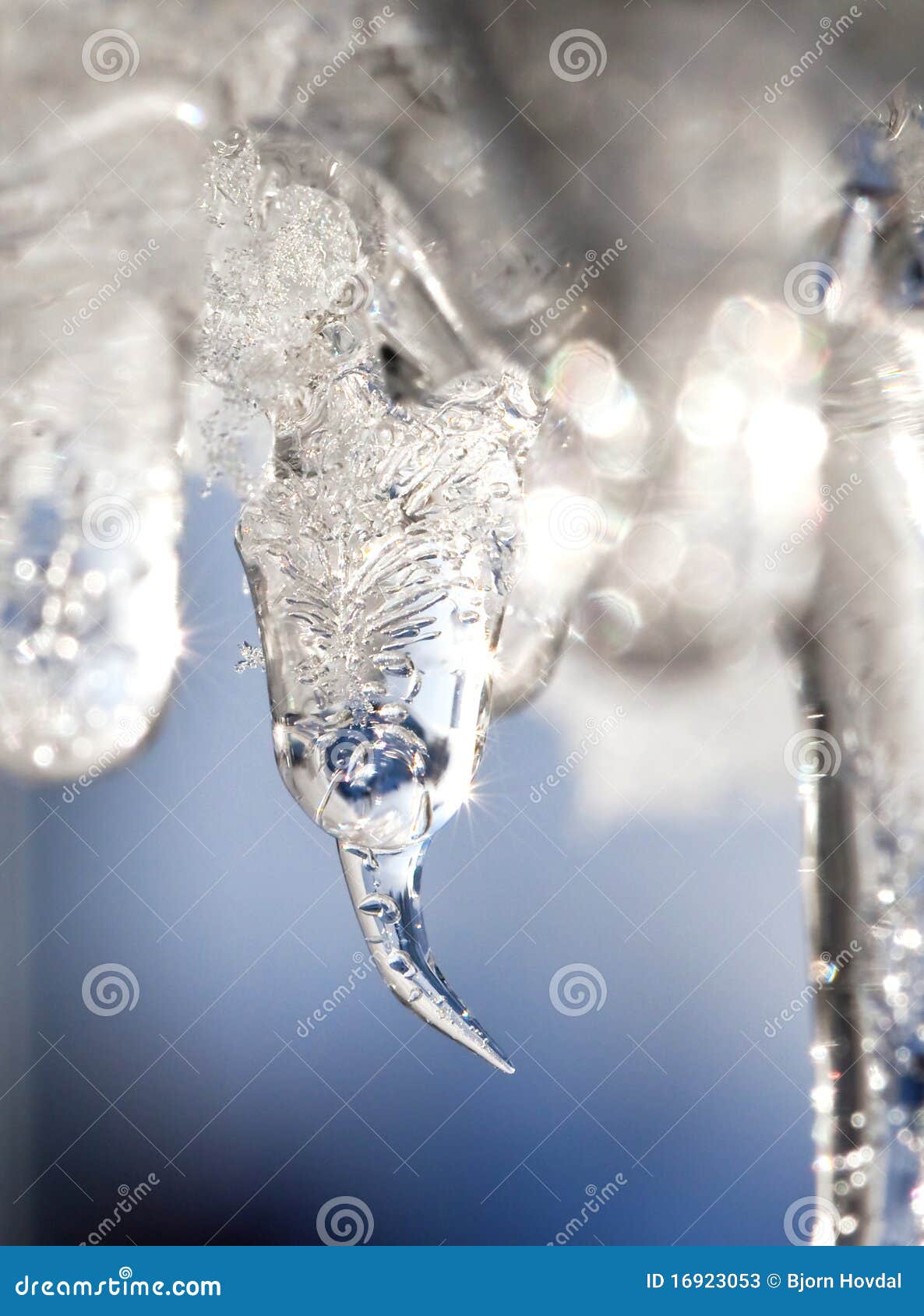 Ice drop stock image. Image of blue, water, freeze, frozen - 16923053