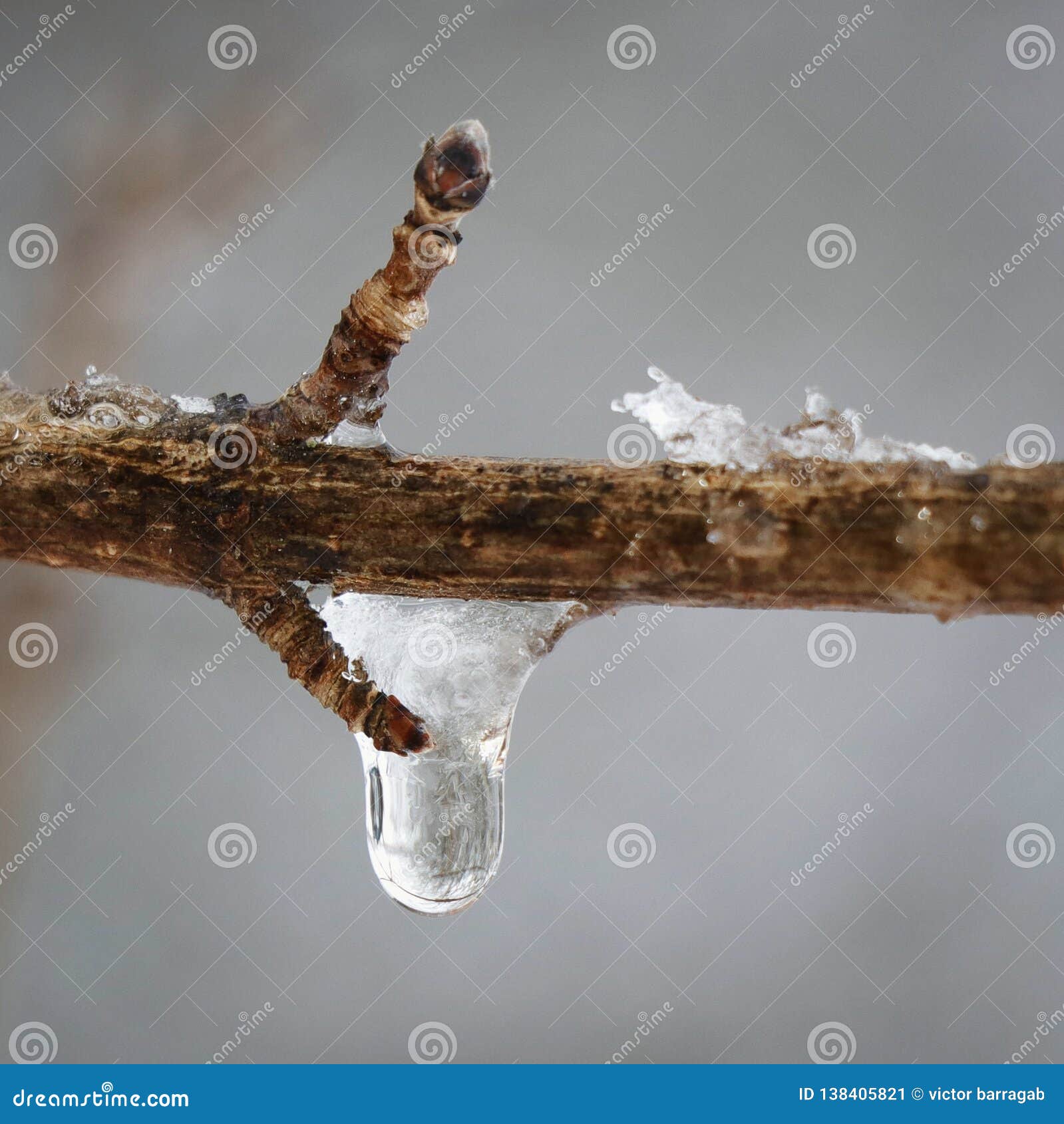Ice drop stock image. Image of frozen, stick, little - 138405821