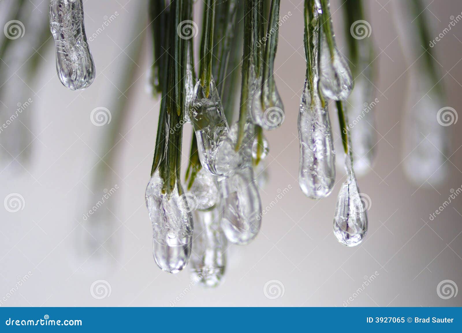 Ice Drops stock image. Image of leaf, chill, cycle, water - 3927065