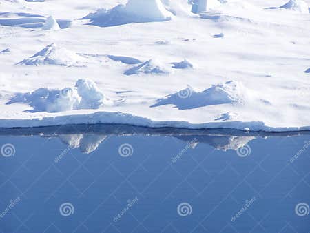Ice edge stock photo. Image of glossy, glazed, antarctica - 392578