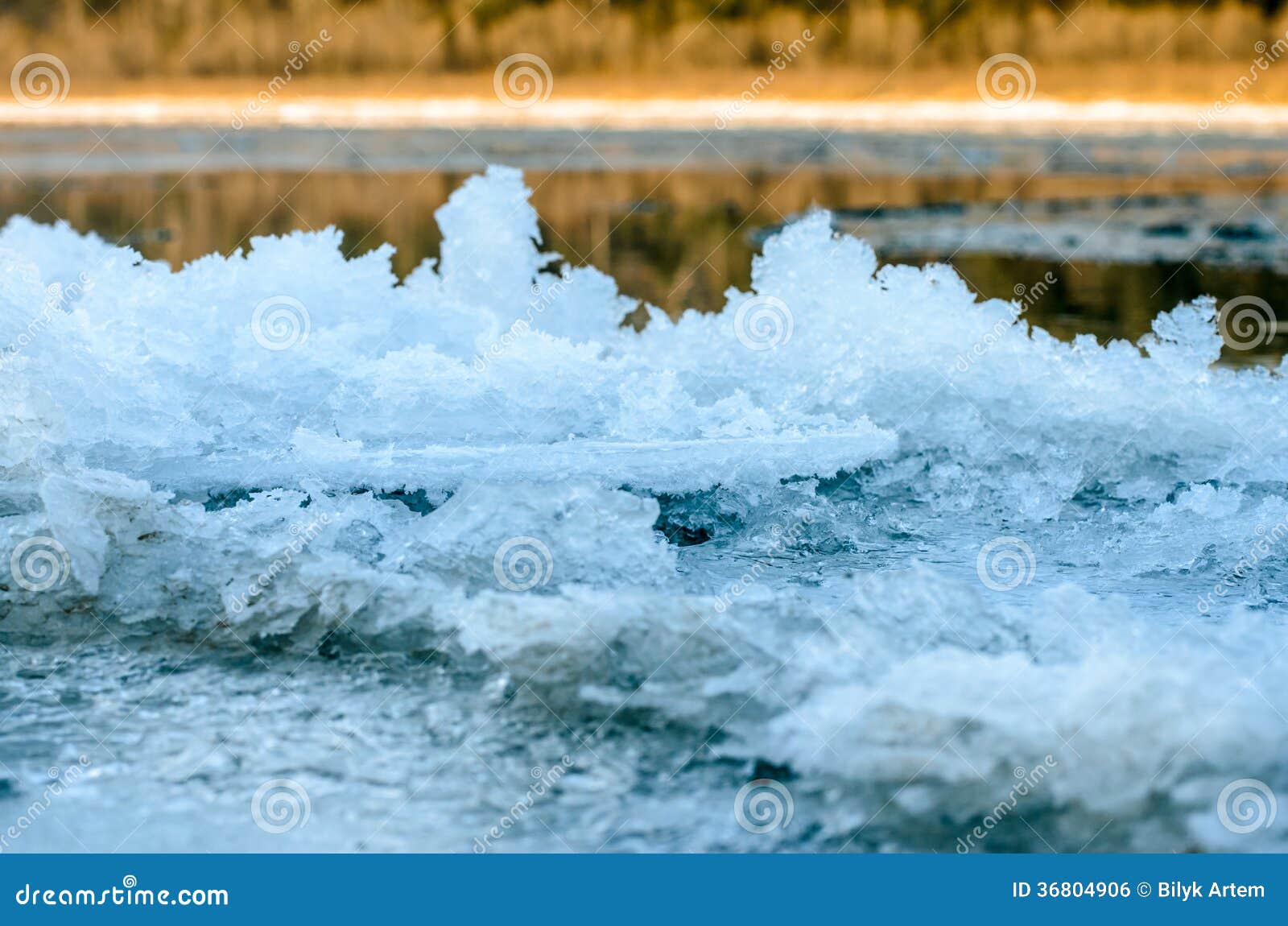 Ice edge. stock photo. Image of outdoors, nature, closeup - 36804906