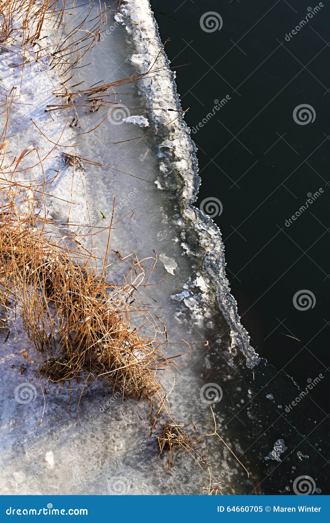 Ice Edge with Dry Reed on the Riverside in Winter, View from Above ...