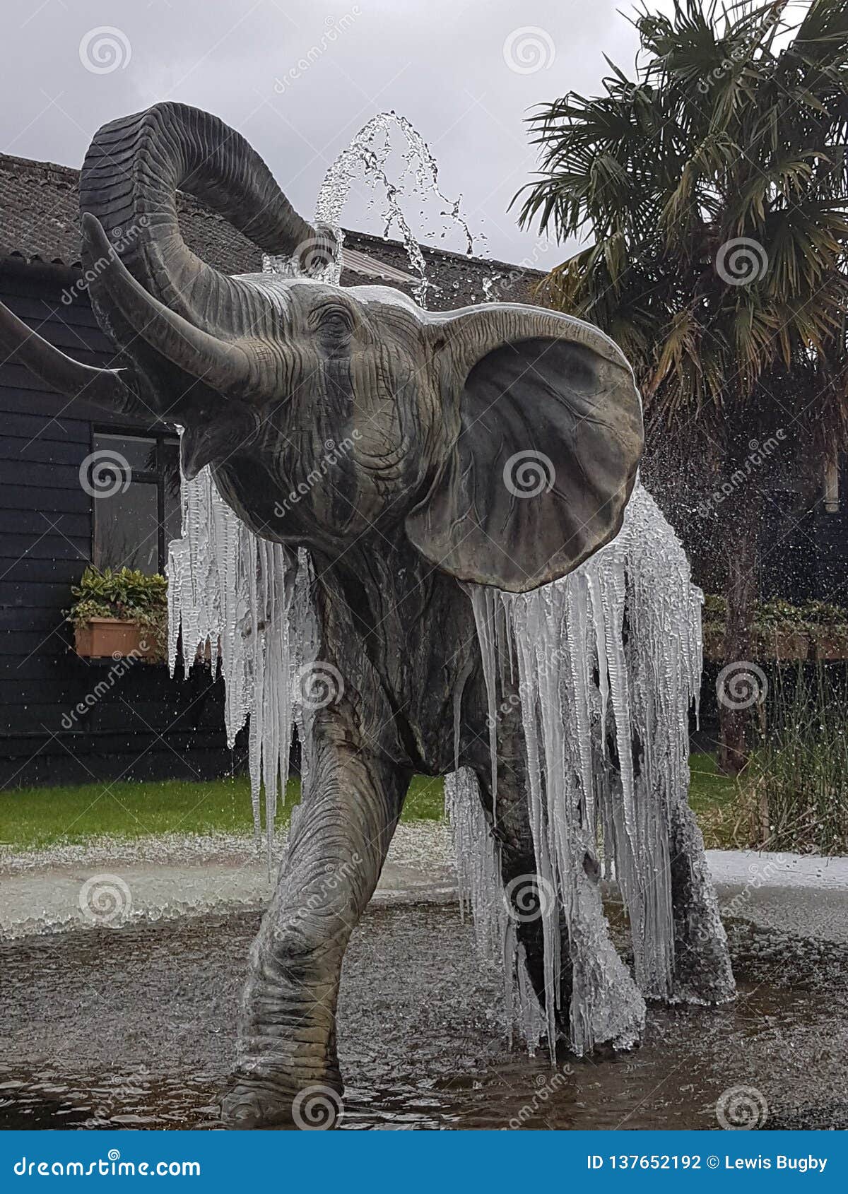 Ice elephant stock photo. Image of frozen, sculpture - 137652192