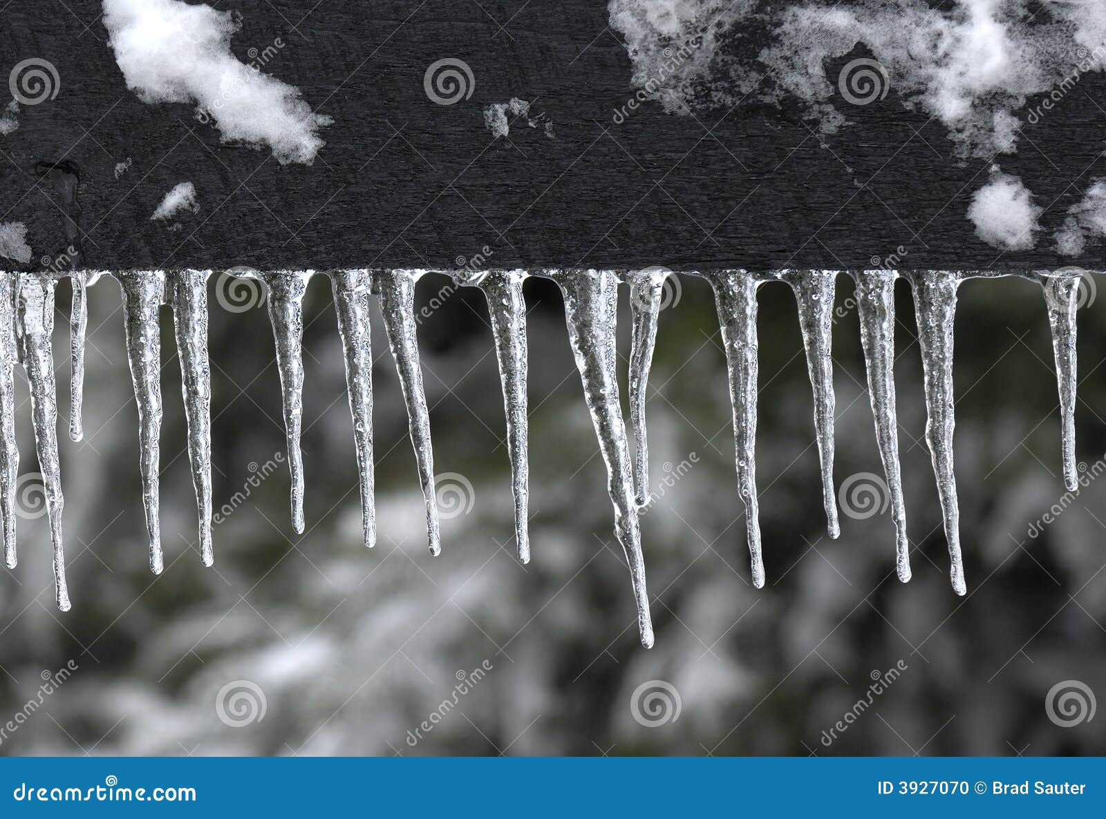 Ice on Fence stock photo. Image of chill, freezing, hanging - 3927070