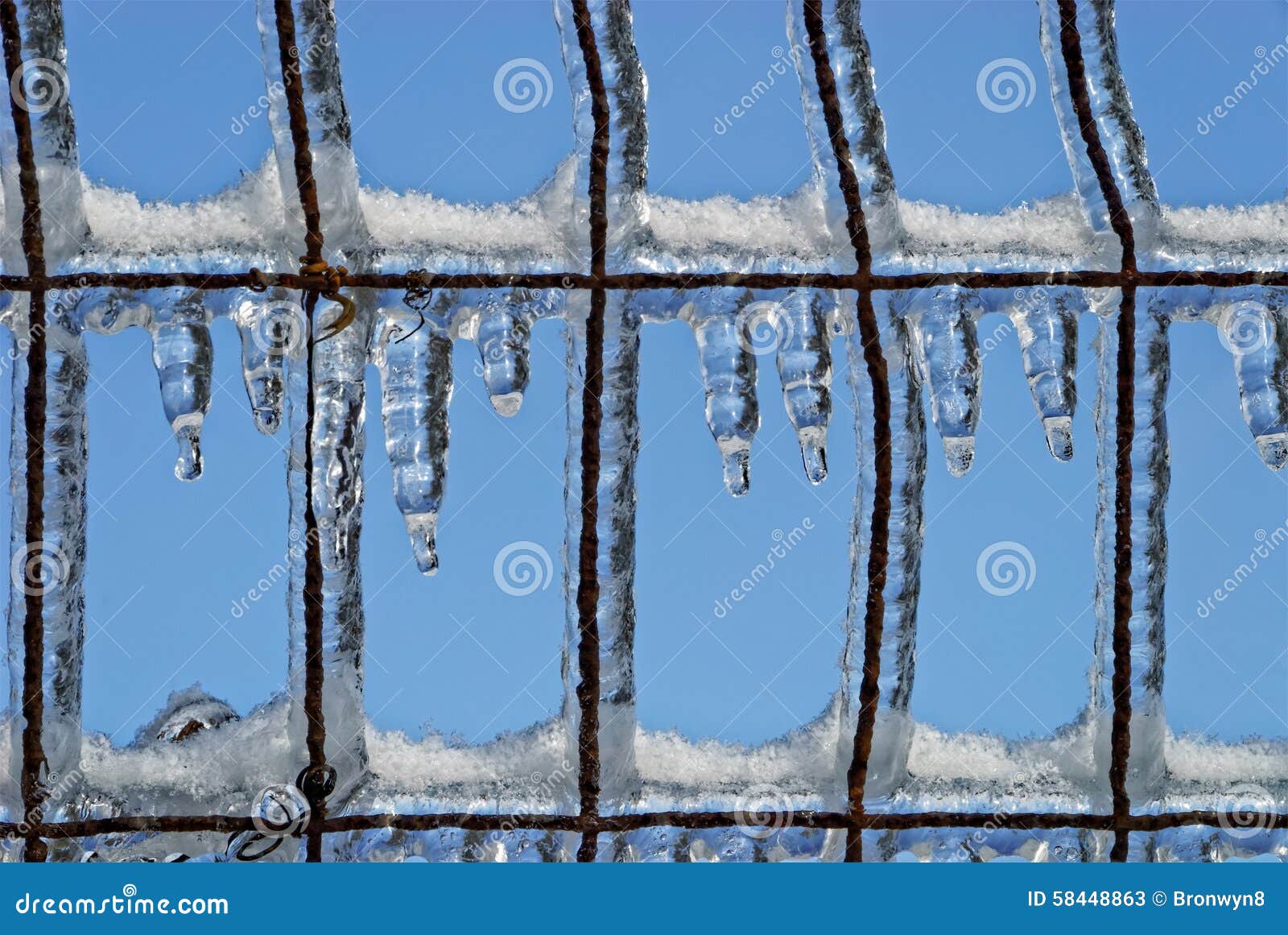 Ice on Fence stock image. Image of cold, grey, seasonal - 58448863