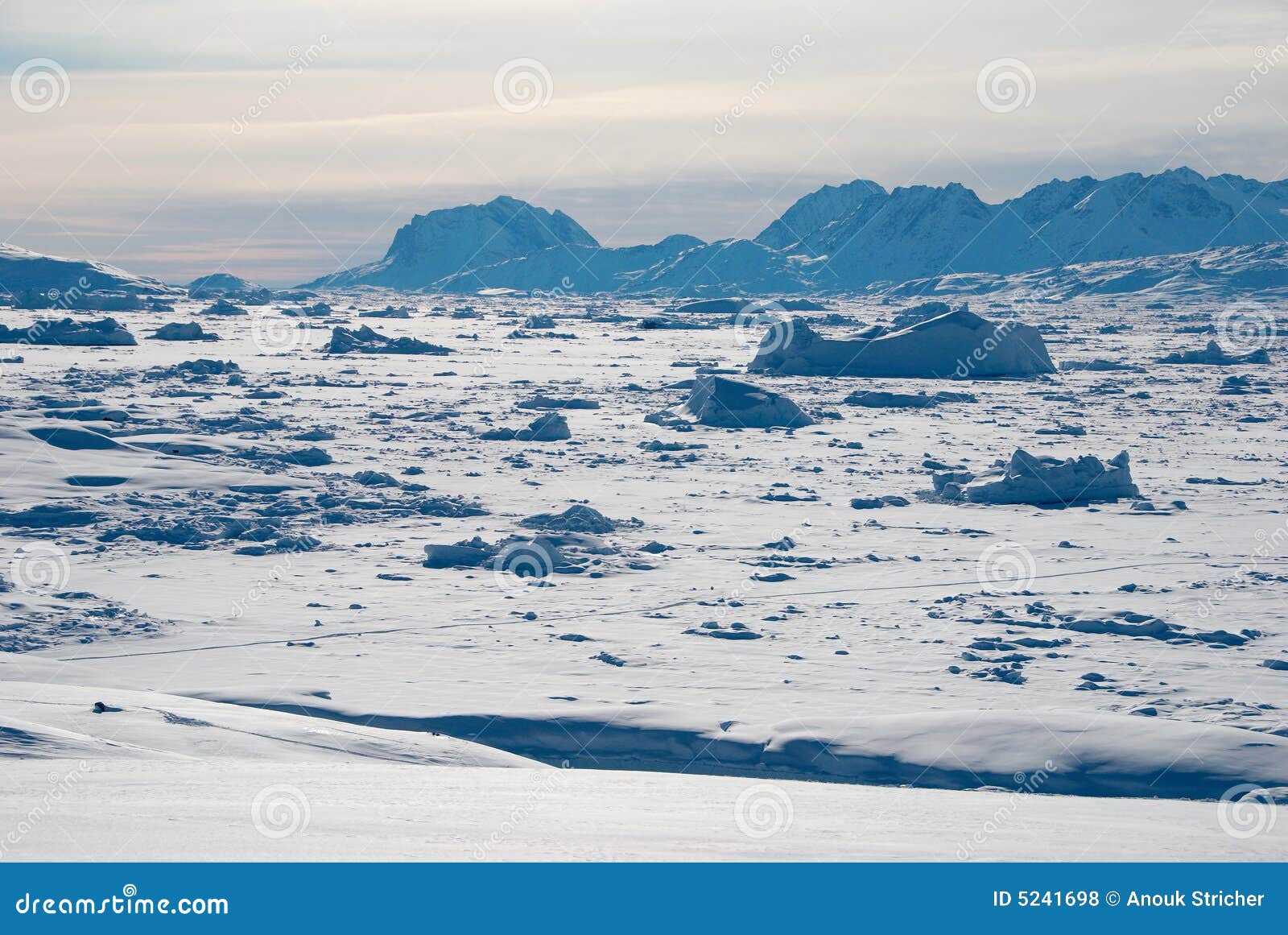 Ice field in Greenland stock photo. Image of iceberg, snow - 5241698
