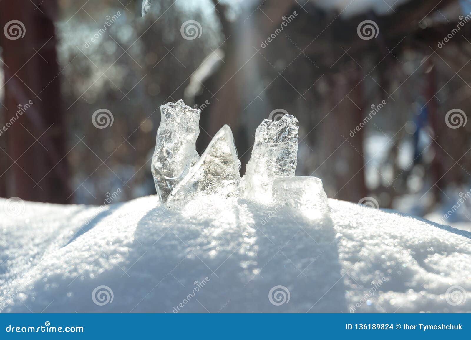 Ice Figures in the Snow in the Sun Stock Photo - Image of transparent ...