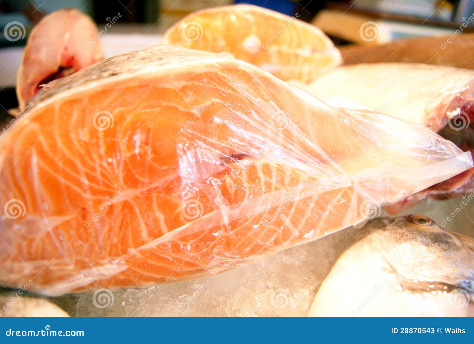 Ice fish meat stock image. Image of fish, background - 28870543