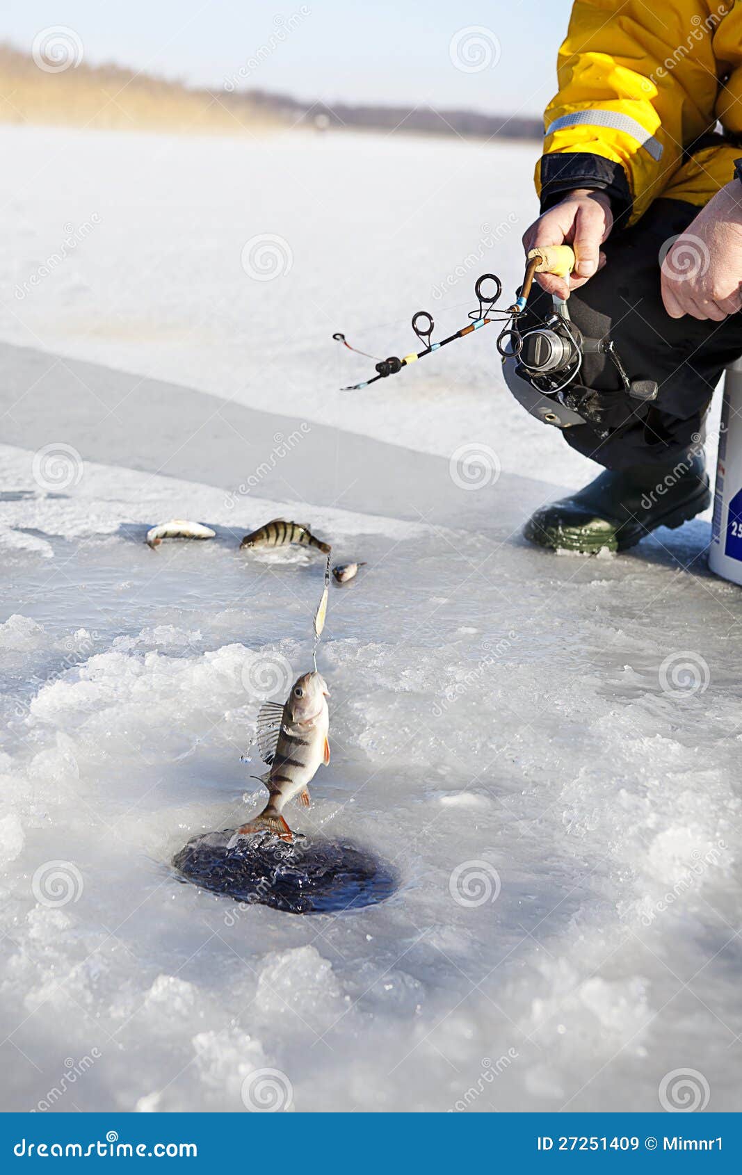 Ice Fishing stock image. Image of angling, fishing, freshwater - 27251409