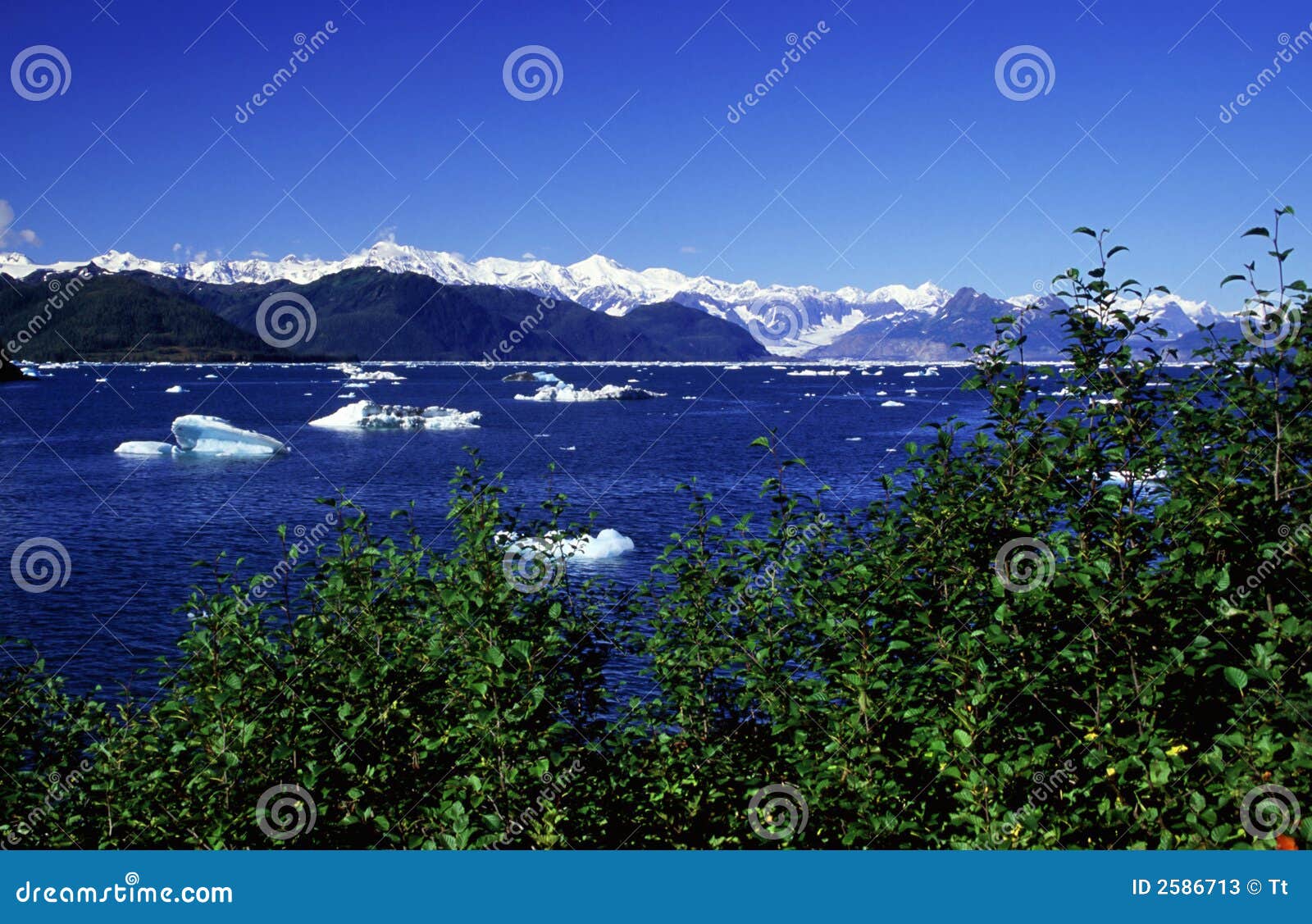 Ice fjord stock image. Image of coast, breathtaking, archipelago - 2586713