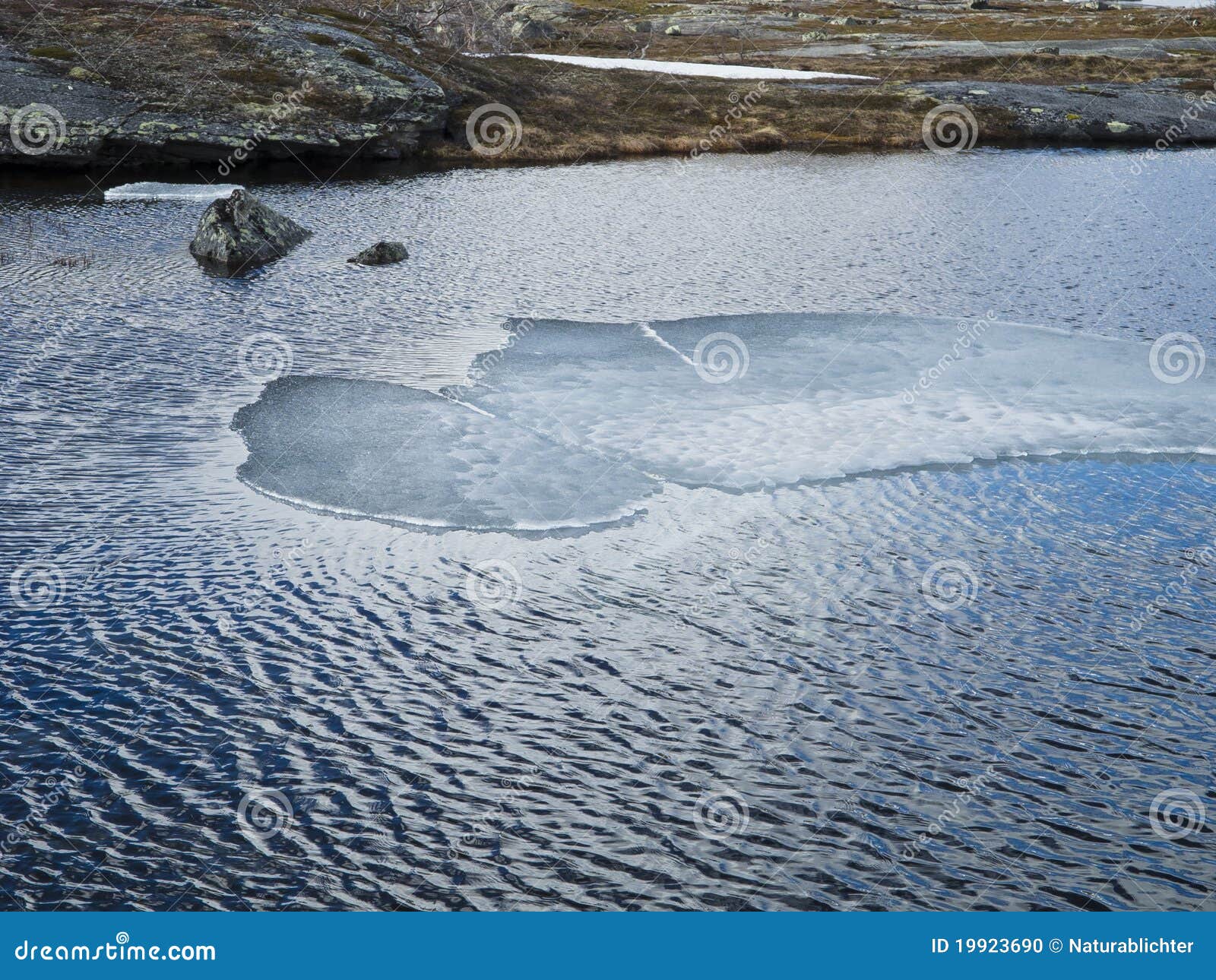 Ice floe on sea stock photo. Image of frozen, rocky, scenery - 19923690