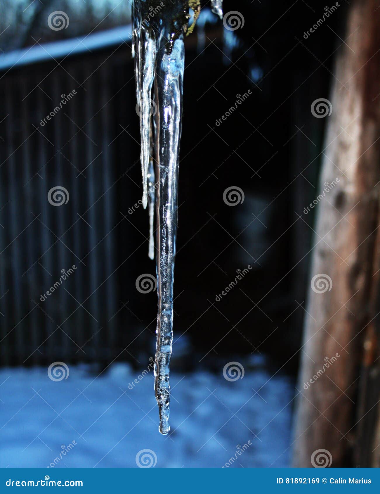 Ice Floe stock image. Image of lighting, hitting, frozen - 81892169