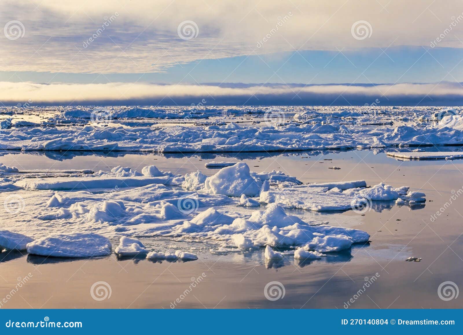 Ice Floes at the Edge of the Arctic Pack Ice Stock Photo - Image of ...