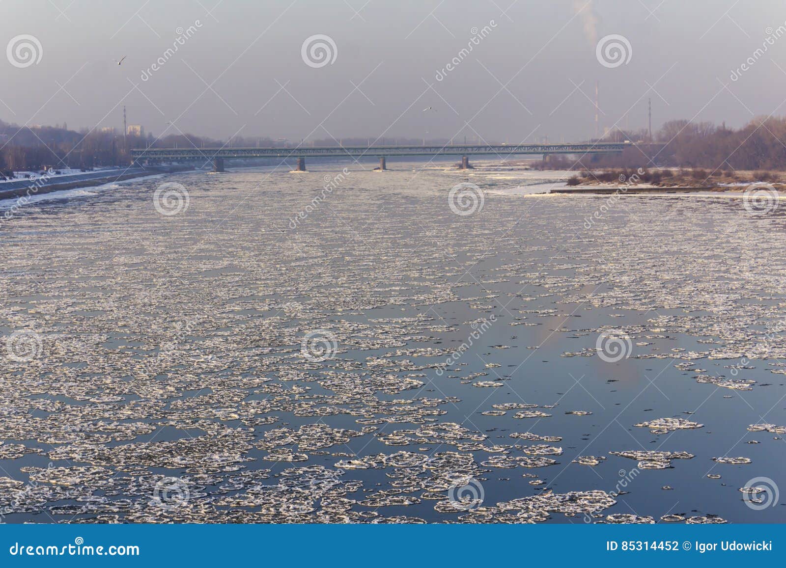 Ice Floes Floating on the River. Stock Photo - Image of climate ...