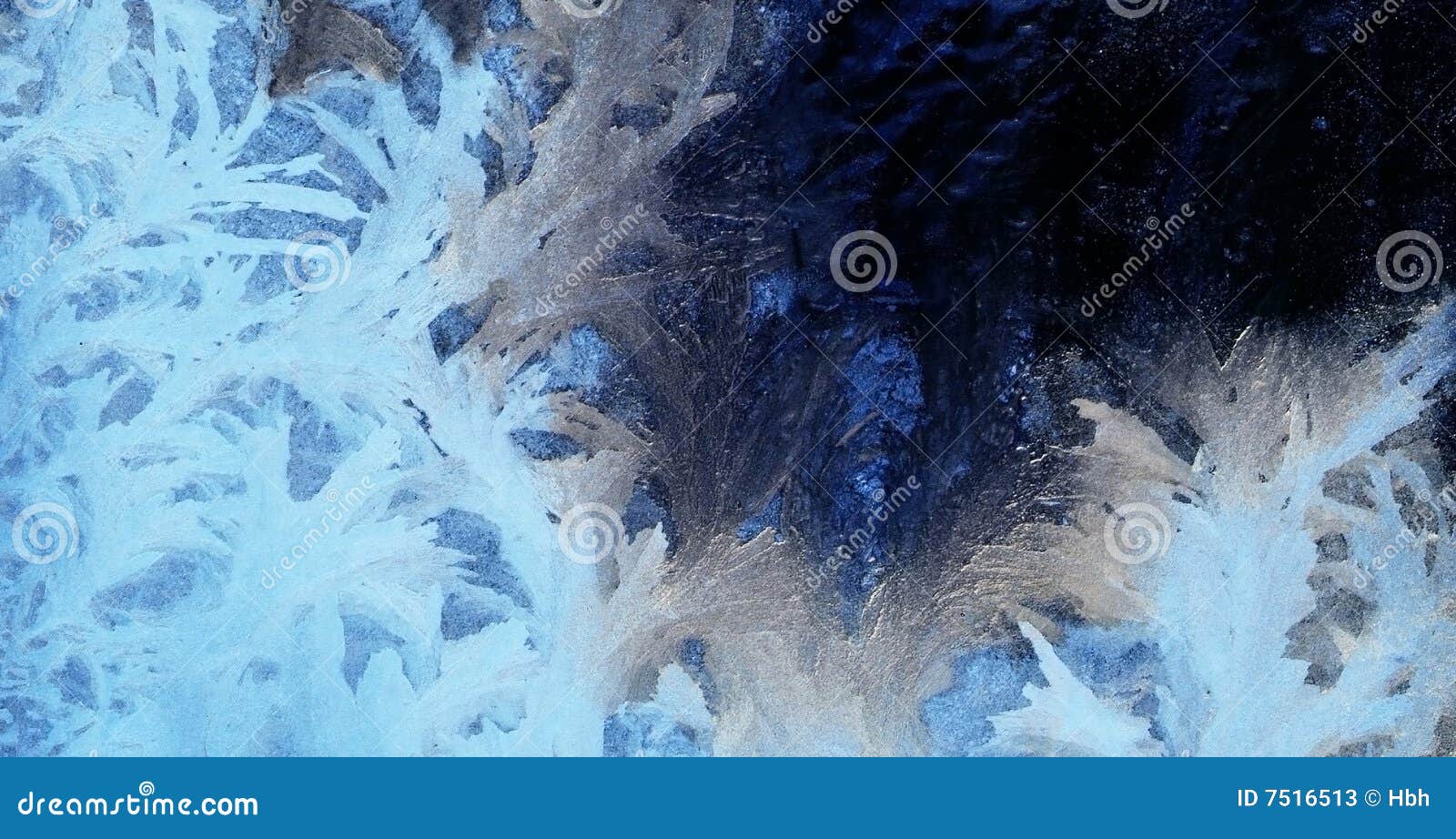 Ice flower stock image. Image of cold, detail, snow, outside - 7516513
