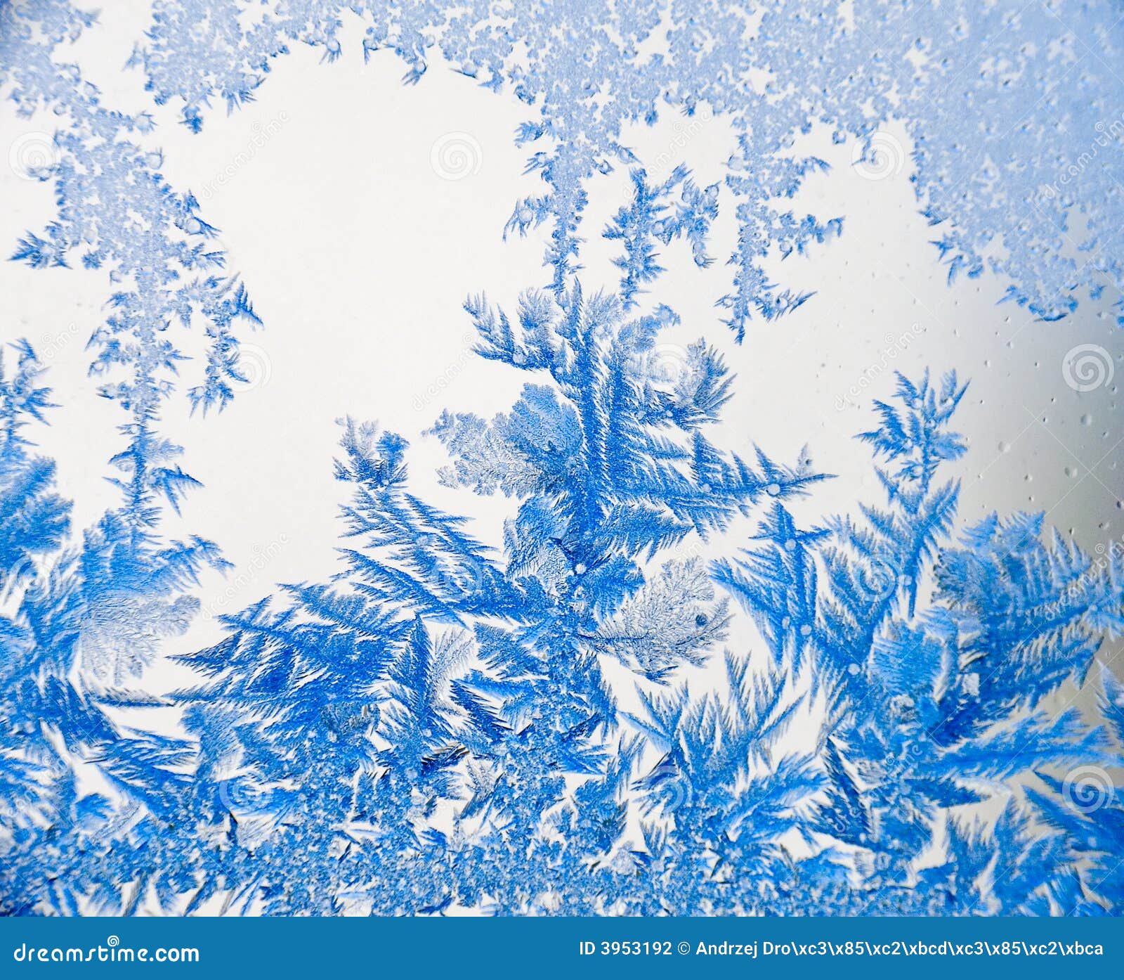 Ice flowers 08 in blue stock photo. Image of crystalline - 3953192