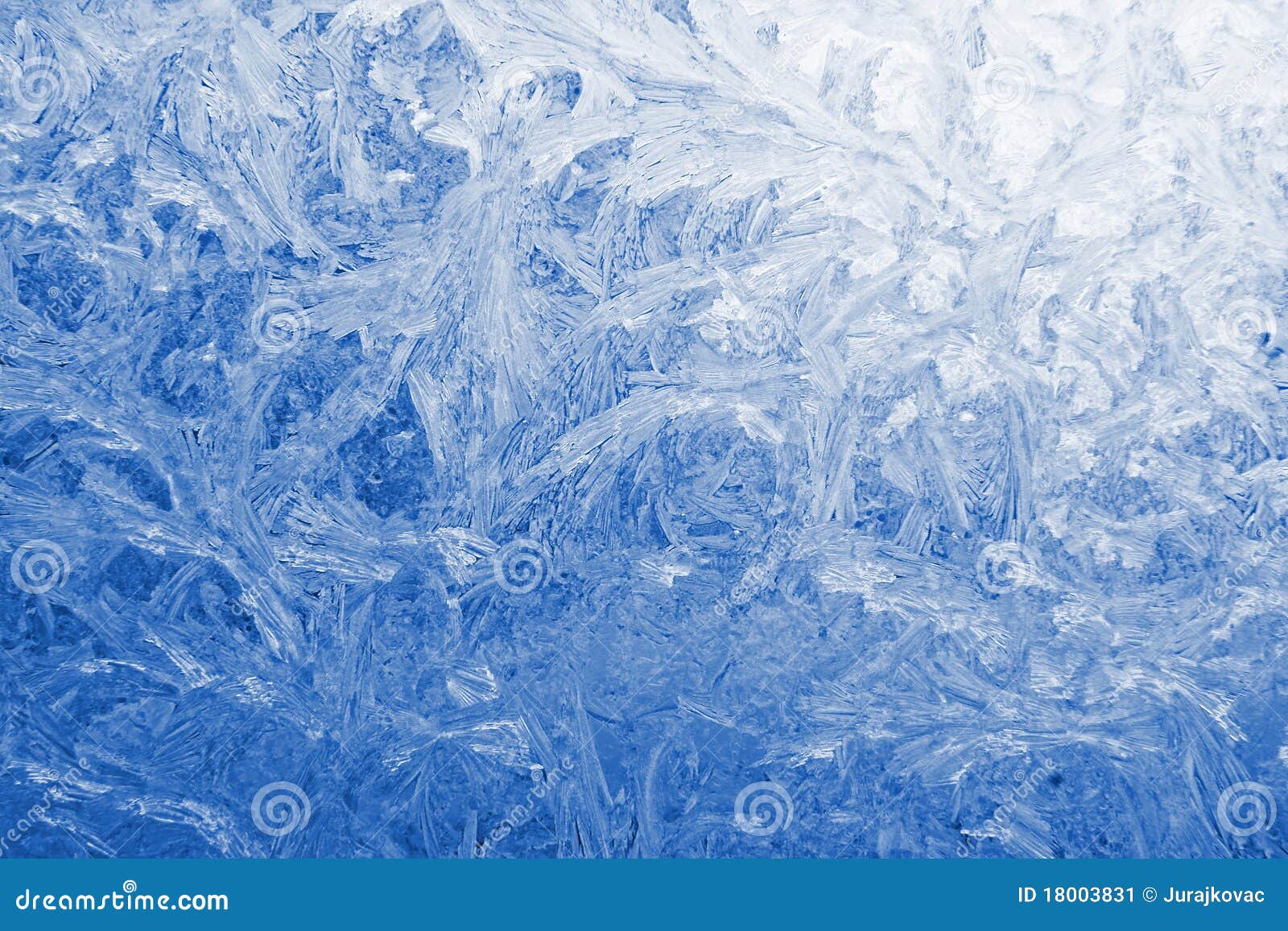 Ice flowers stock image. Image of cold, rime, flower - 18003831