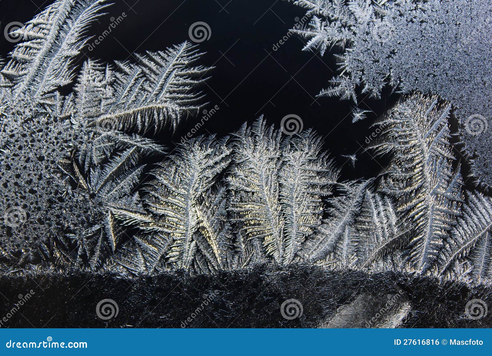 Ice Flowers - Frost Pattern Stock Photo - Image of closeup, crystal ...