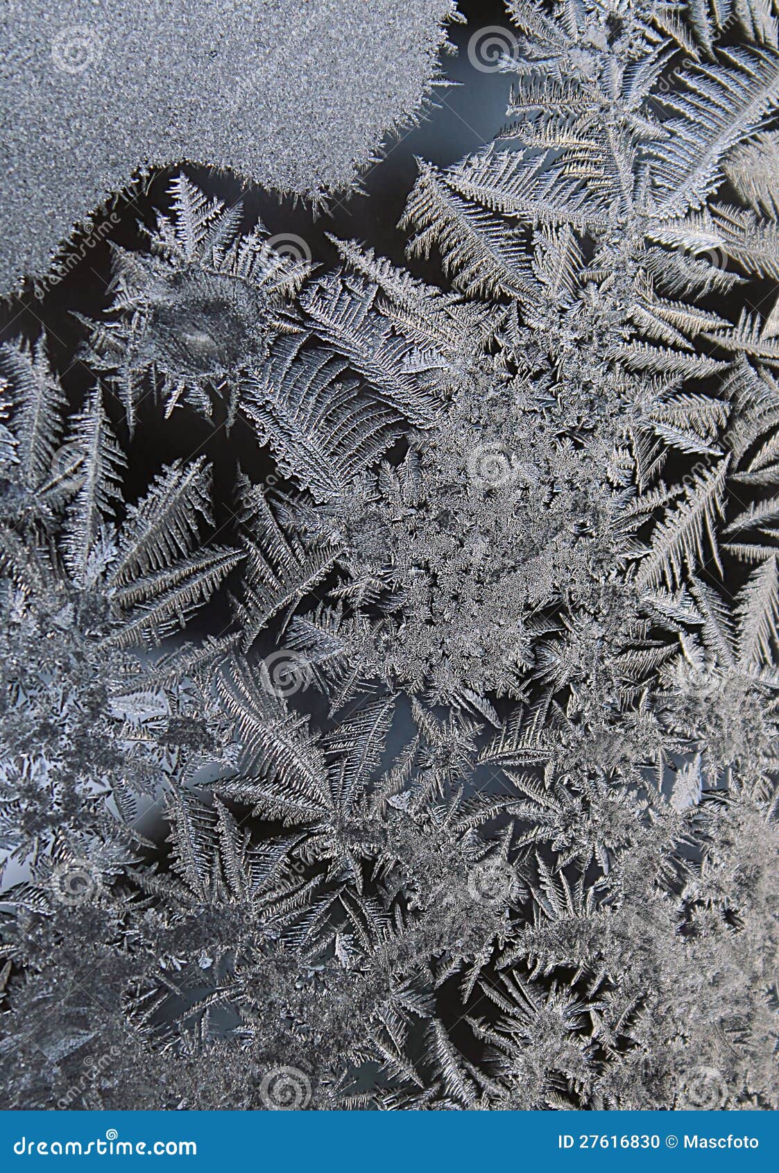 Ice Flowers - Frost Pattern Stock Photo - Image of shapes, season: 27616830