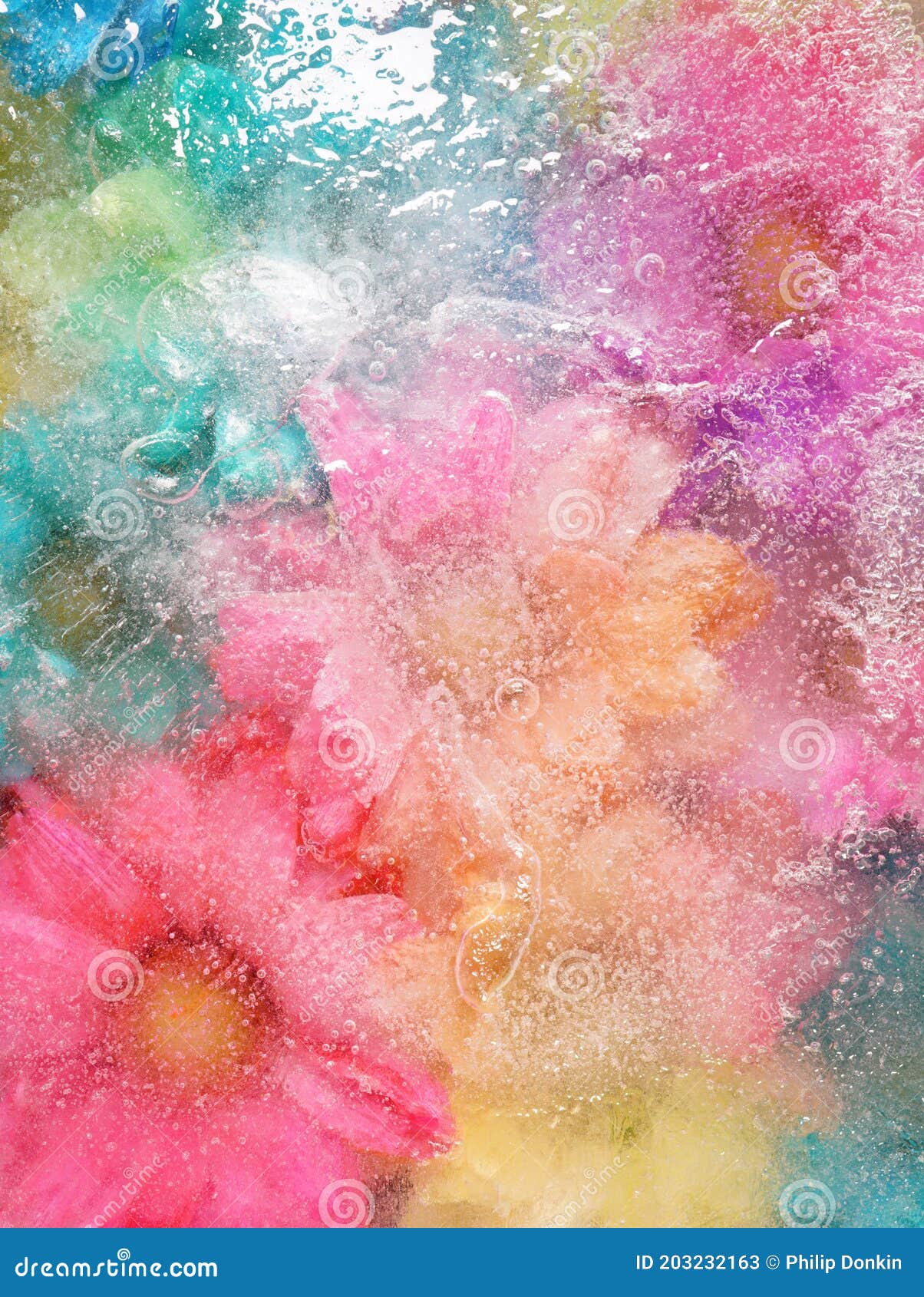 Ice Flowers Frozen Flower Heads Frozen in a Solid Block of Frozen Water ...