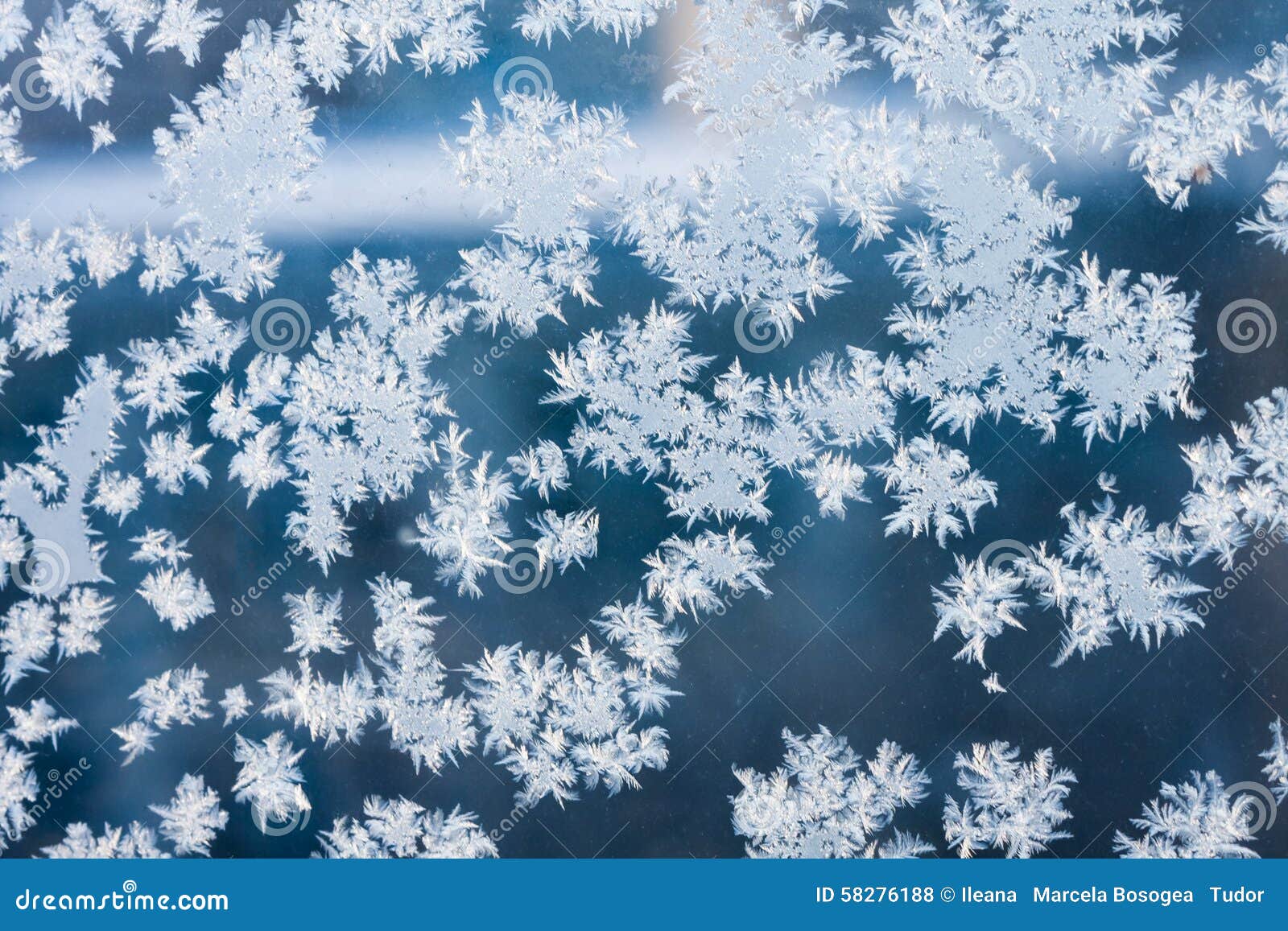 Ice flowers on glass stock photo. Image of cool, decoration - 58276188