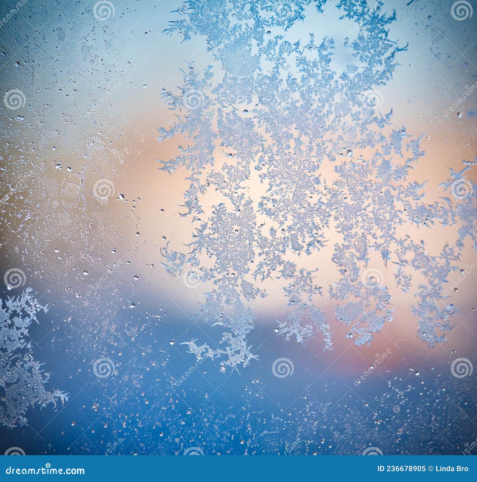 Ice Flowers on a Window on a Cold Winter Morning Stock Image - Image of ...