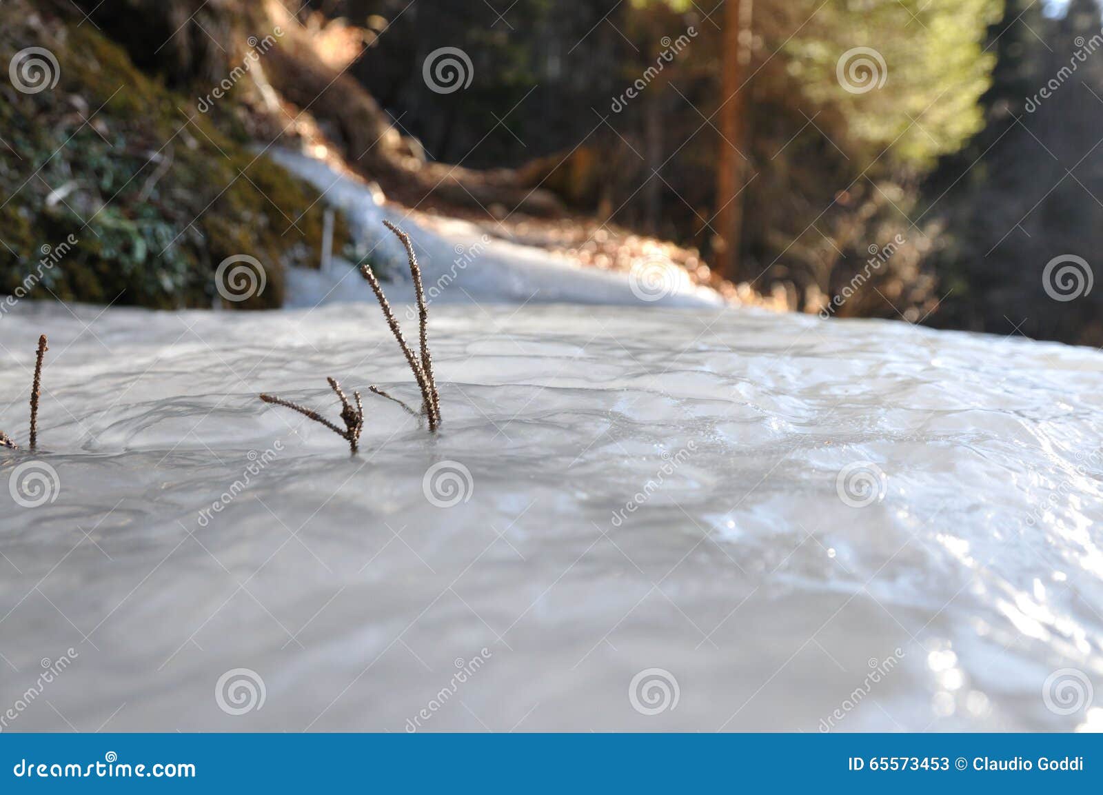 Ice stock image. Image of tree, forest, mountains, aged - 65573453