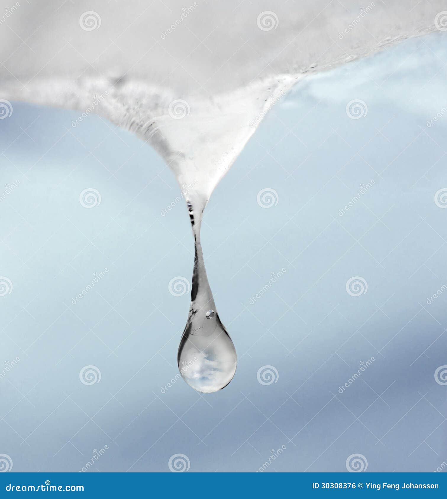 Icicle with drop of water stock photo. Image of frozen - 30308376
