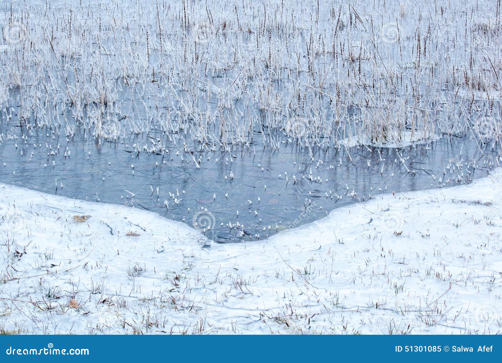 Ice Forming 2 stock image. Image of forms, snow, surface - 51301085