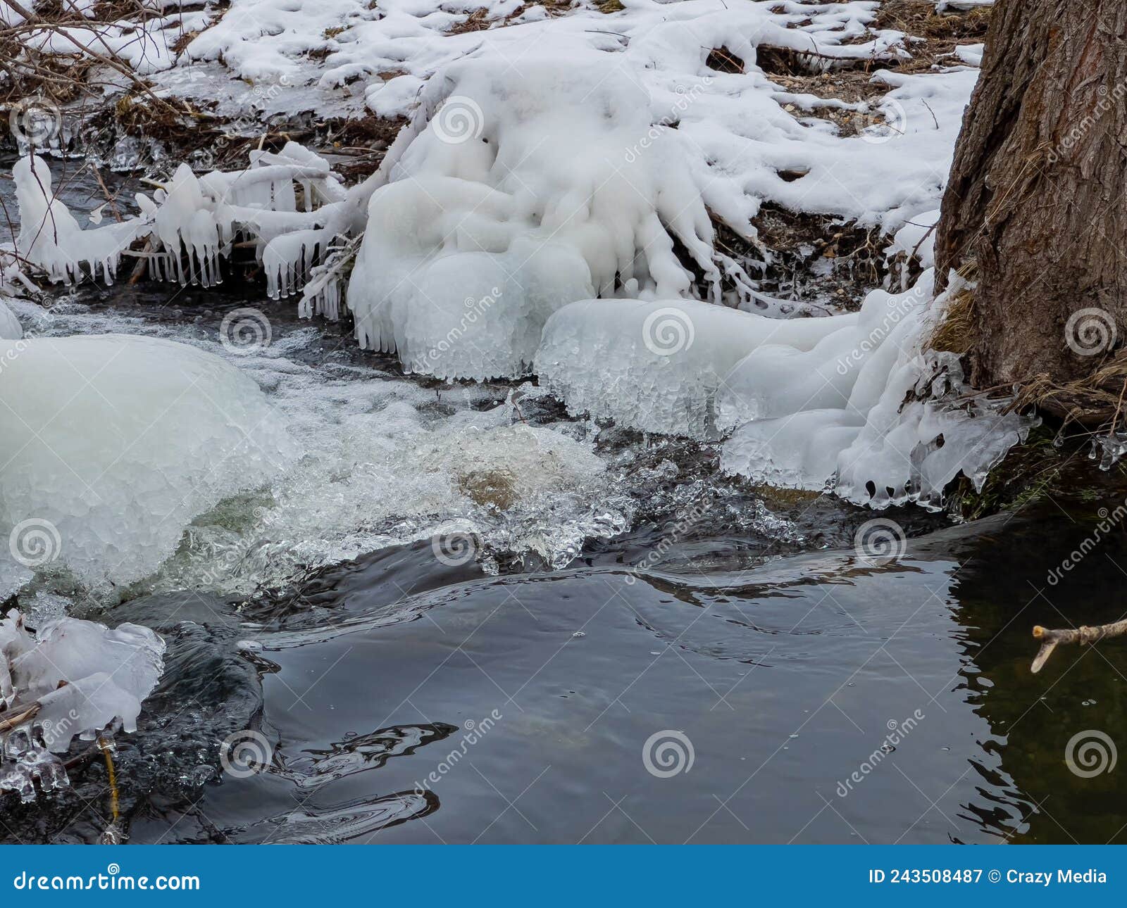 Ice Forms Formed by the Effect of Cold Air in Streams Stock Image ...