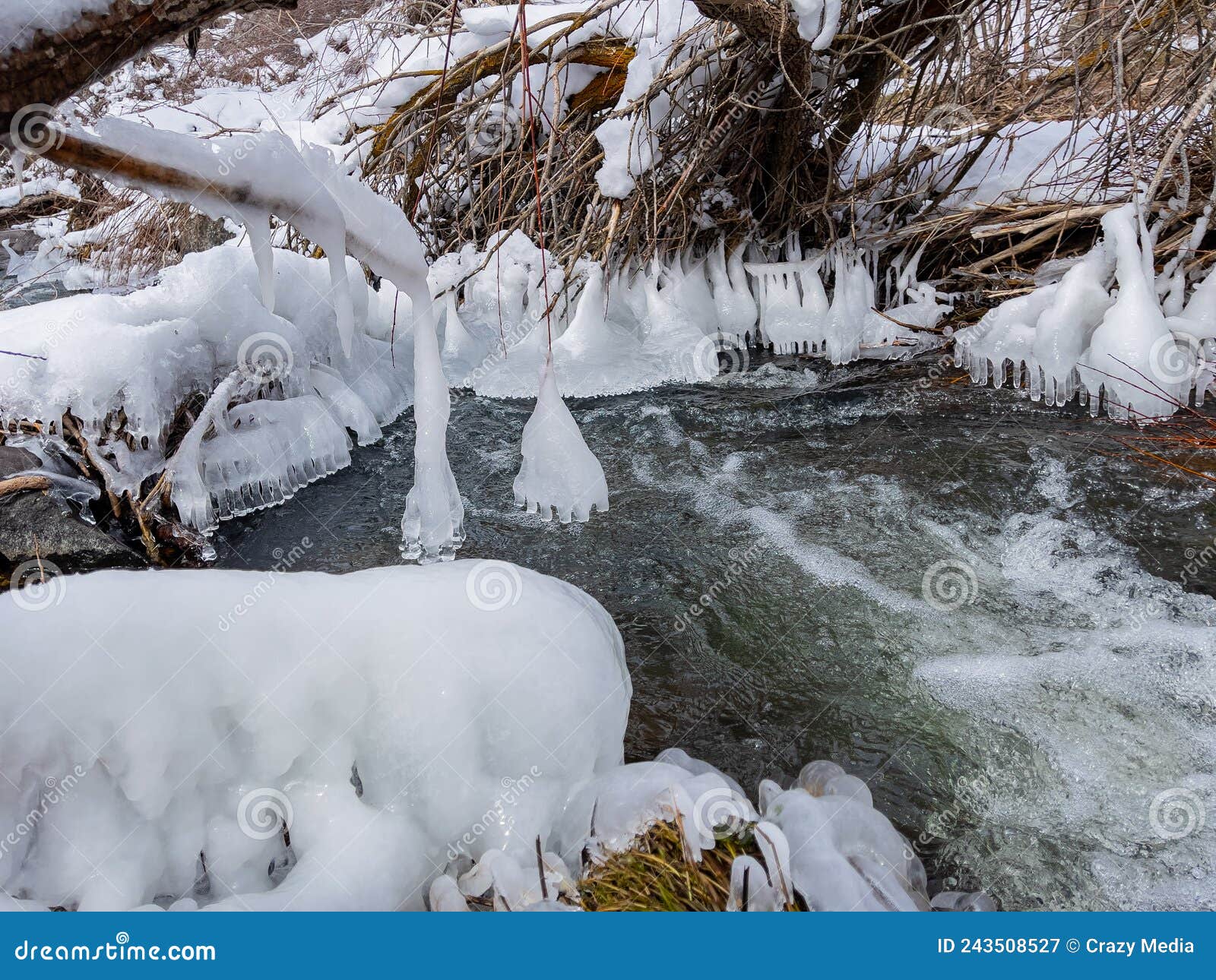 Ice Forms Formed by the Effect of Cold Air in Streams Stock Image ...