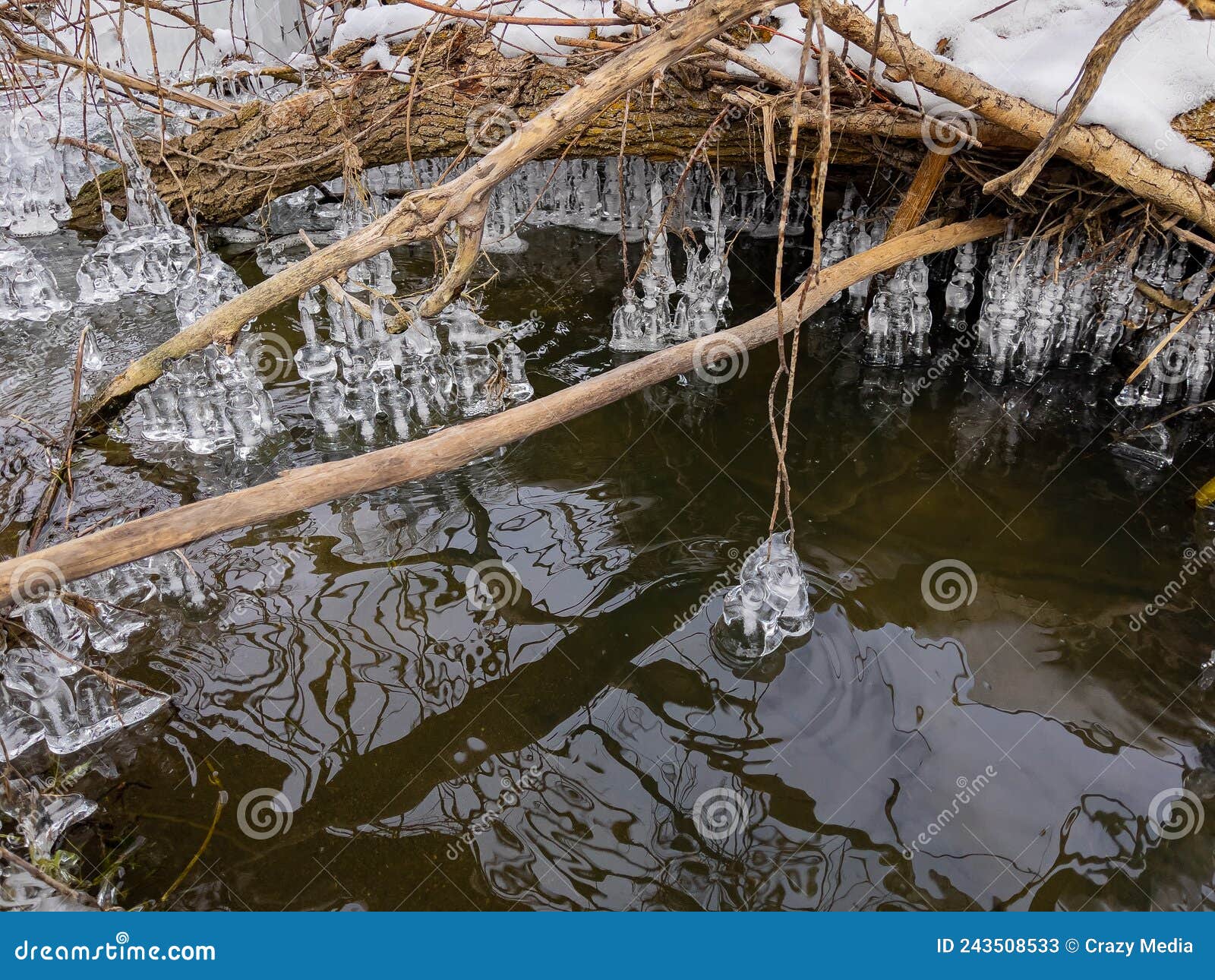 Ice Forms Formed by the Effect of Cold Air in Streams Stock Image ...
