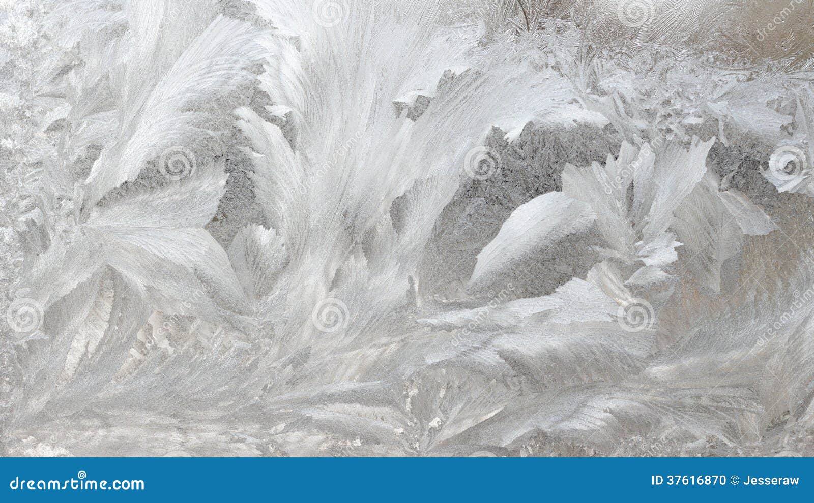 Ice fractal stock photo. Image of frigid, freeze, frosty - 37616870