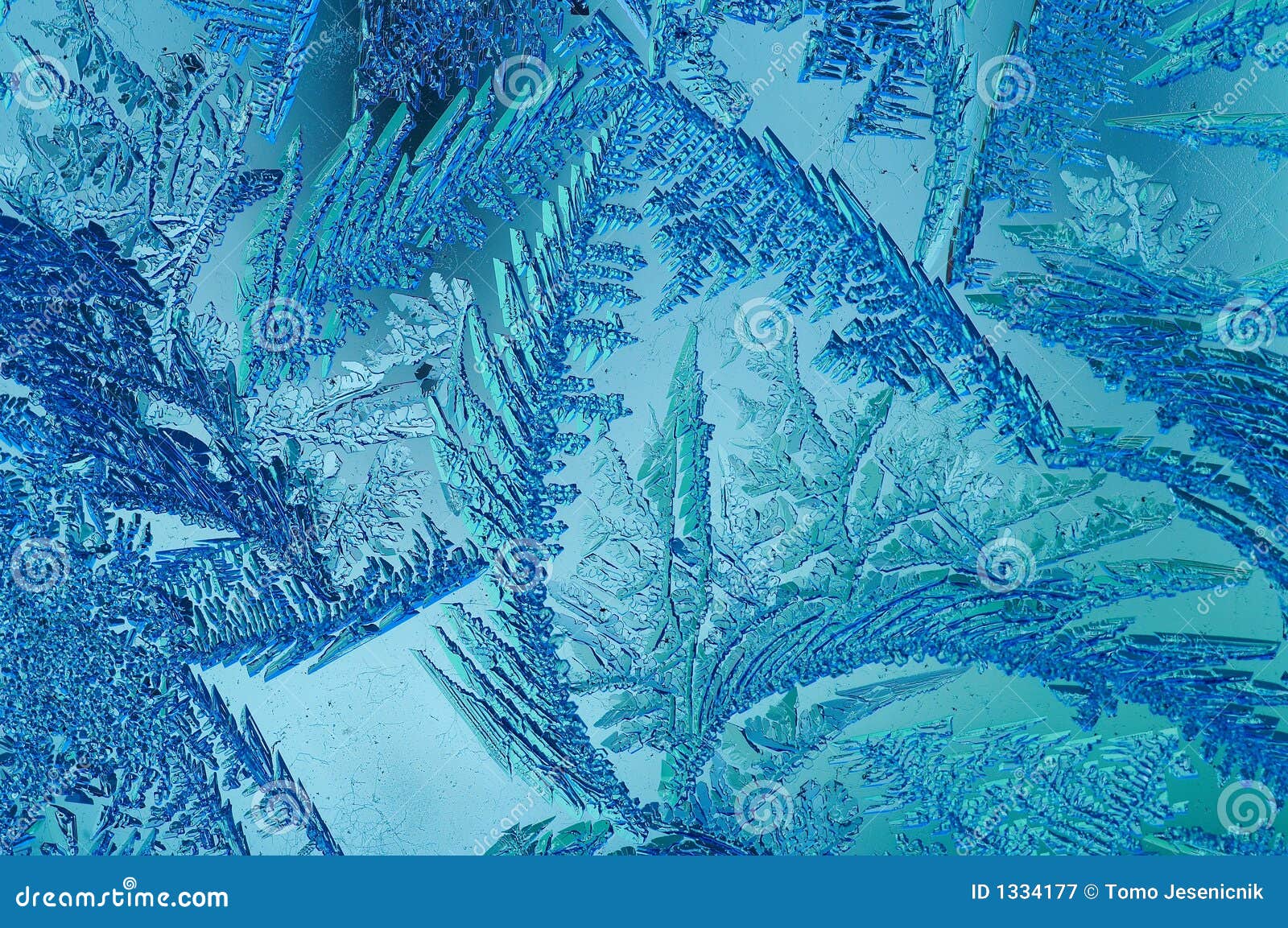 Ice fractals stock image. Image of close, crystal, freezing - 1334177