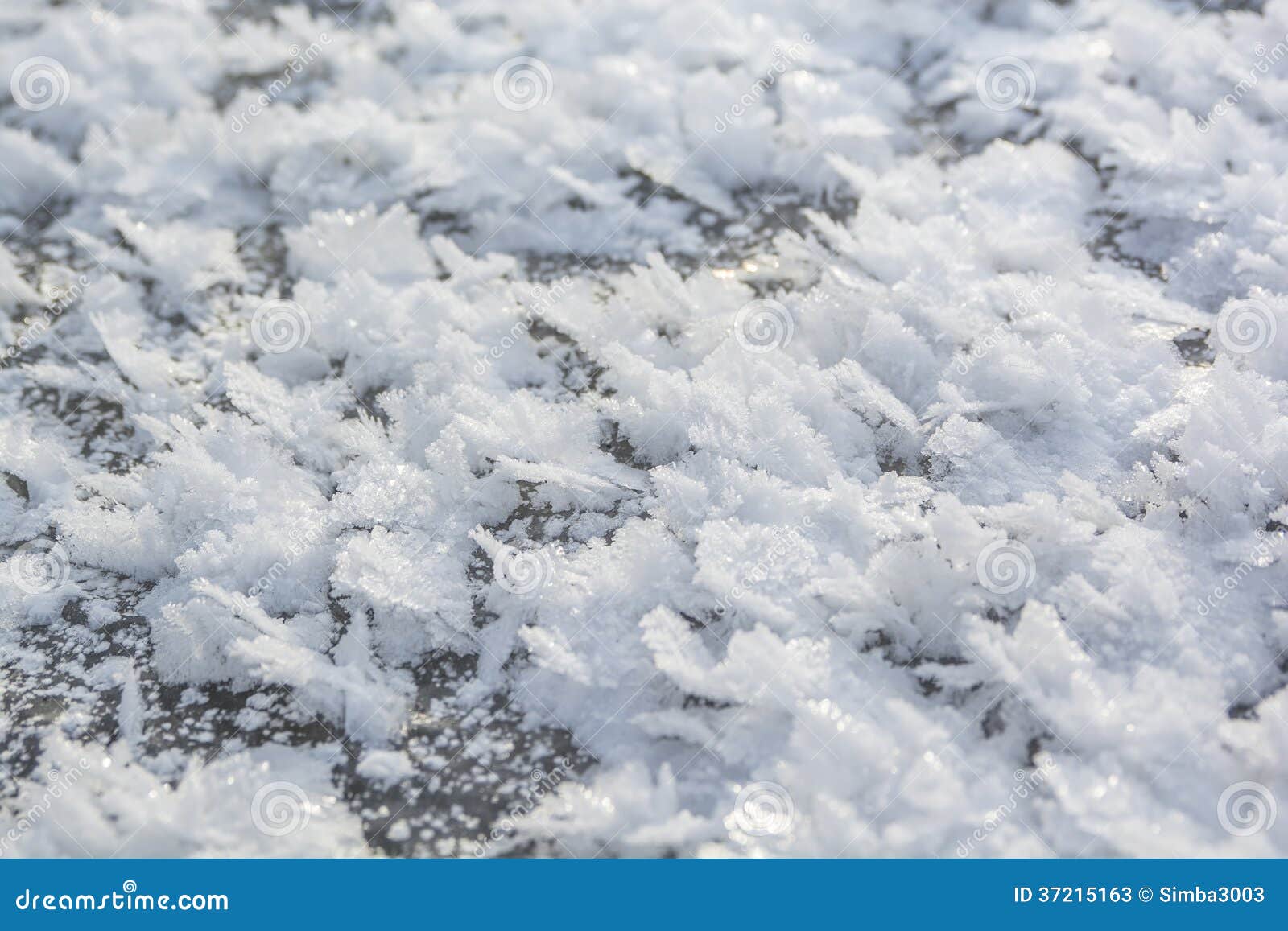 Ice frost in winter stock image. Image of beauty, color - 37215163