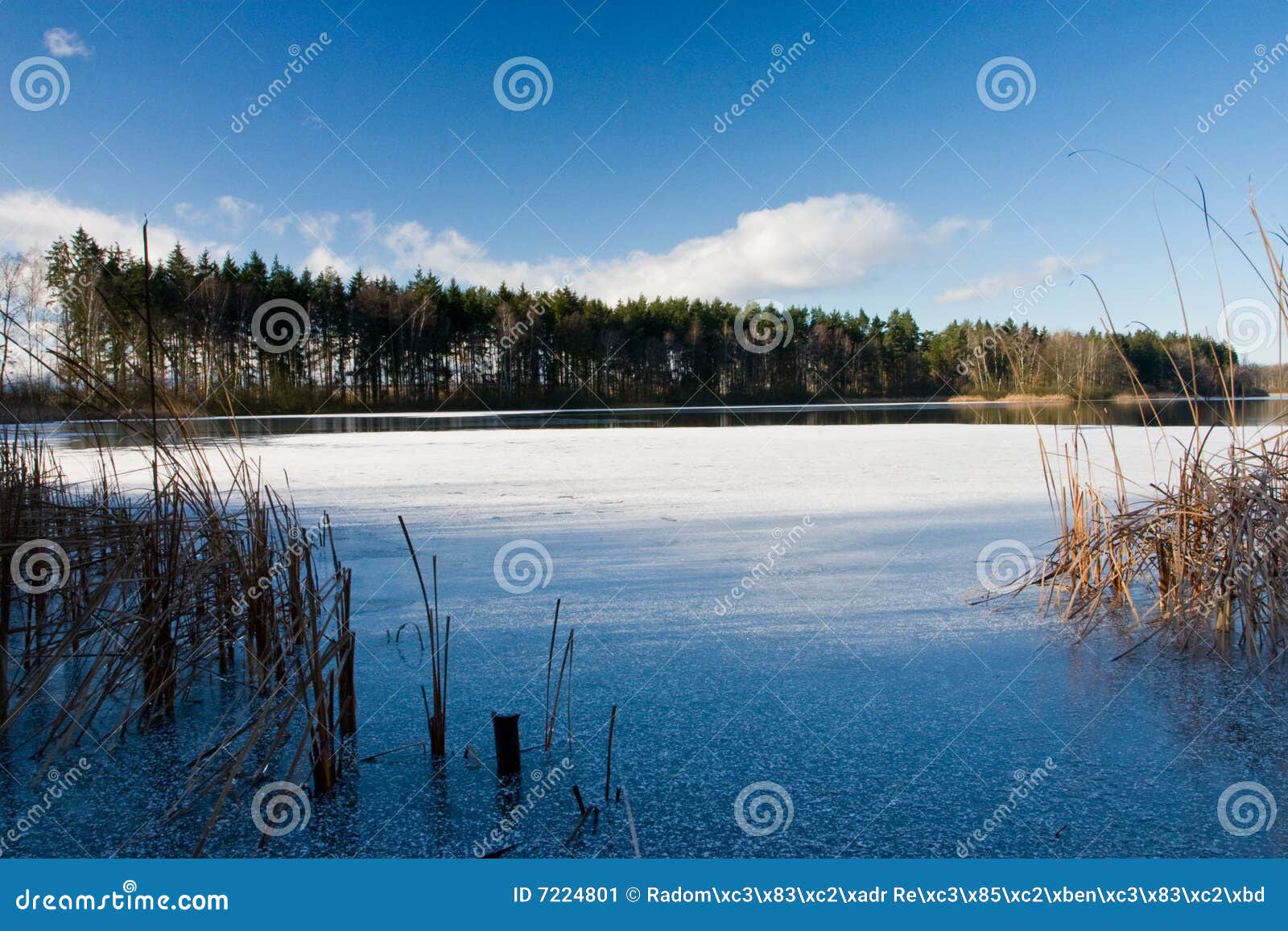 On ice of the frozen pond stock image. Image of republic - 7224801