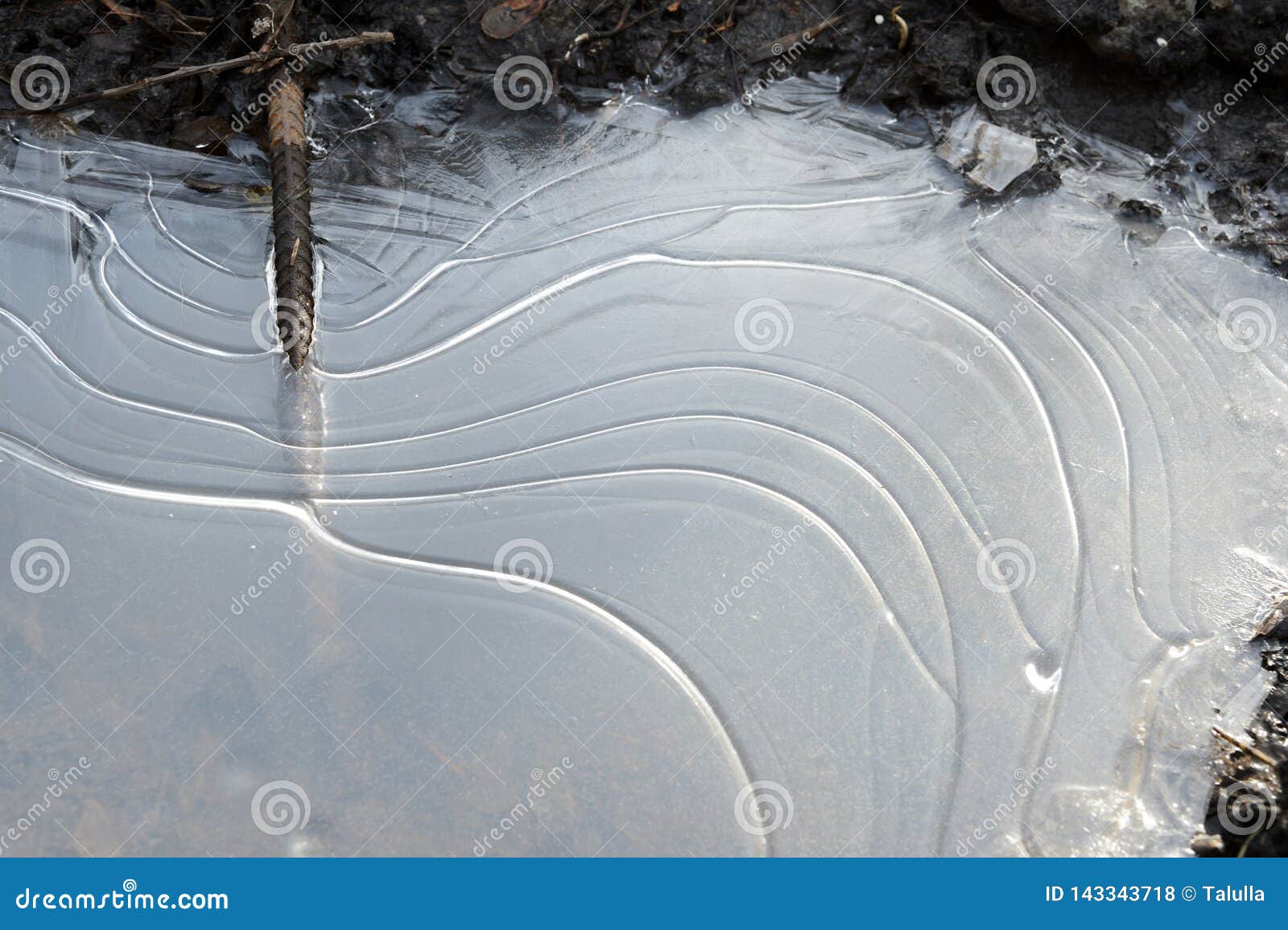 Ice on a Frozen Puddle in Spring Mud Stock Photo - Image of frost ...