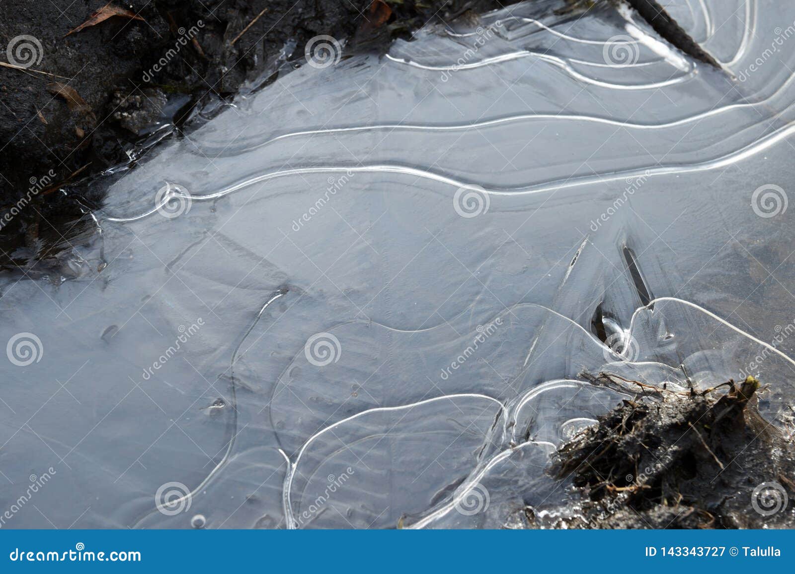 Ice on a Frozen Puddle in Spring Mud Stock Image - Image of outdoor ...