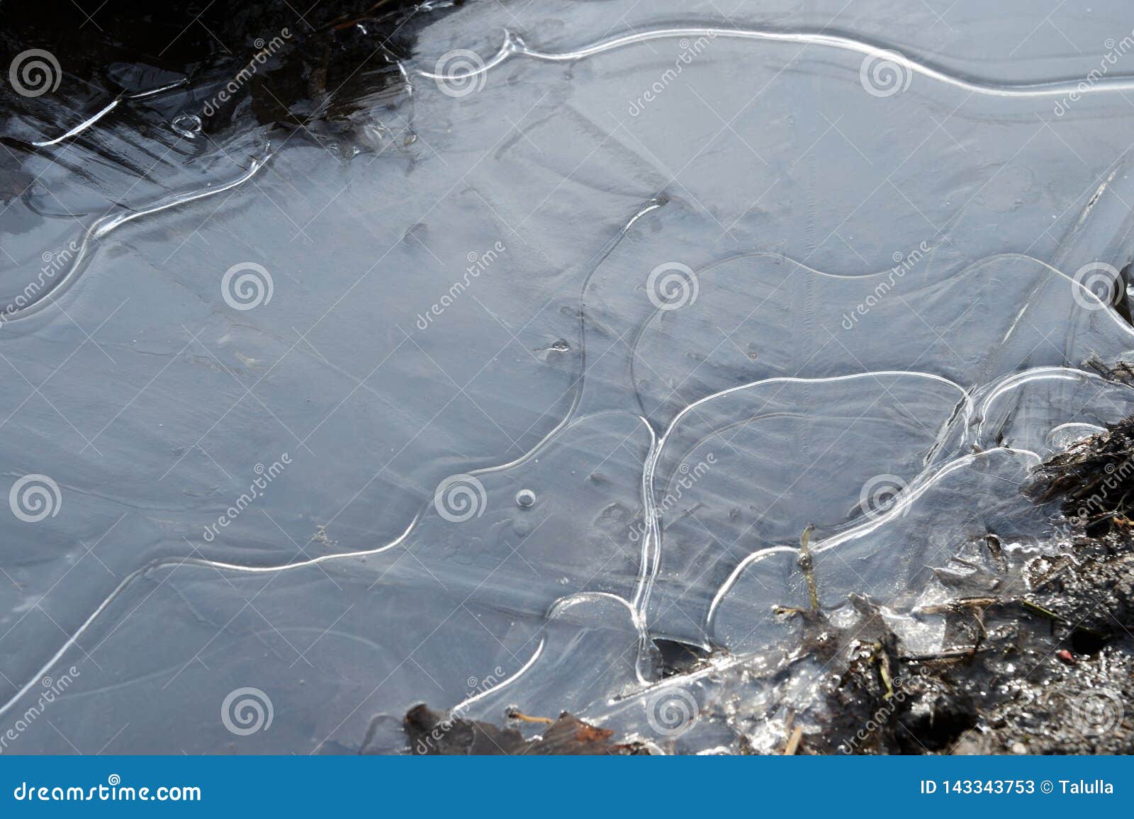 Ice on a Frozen Puddle in Spring Mud Stock Image - Image of environment ...