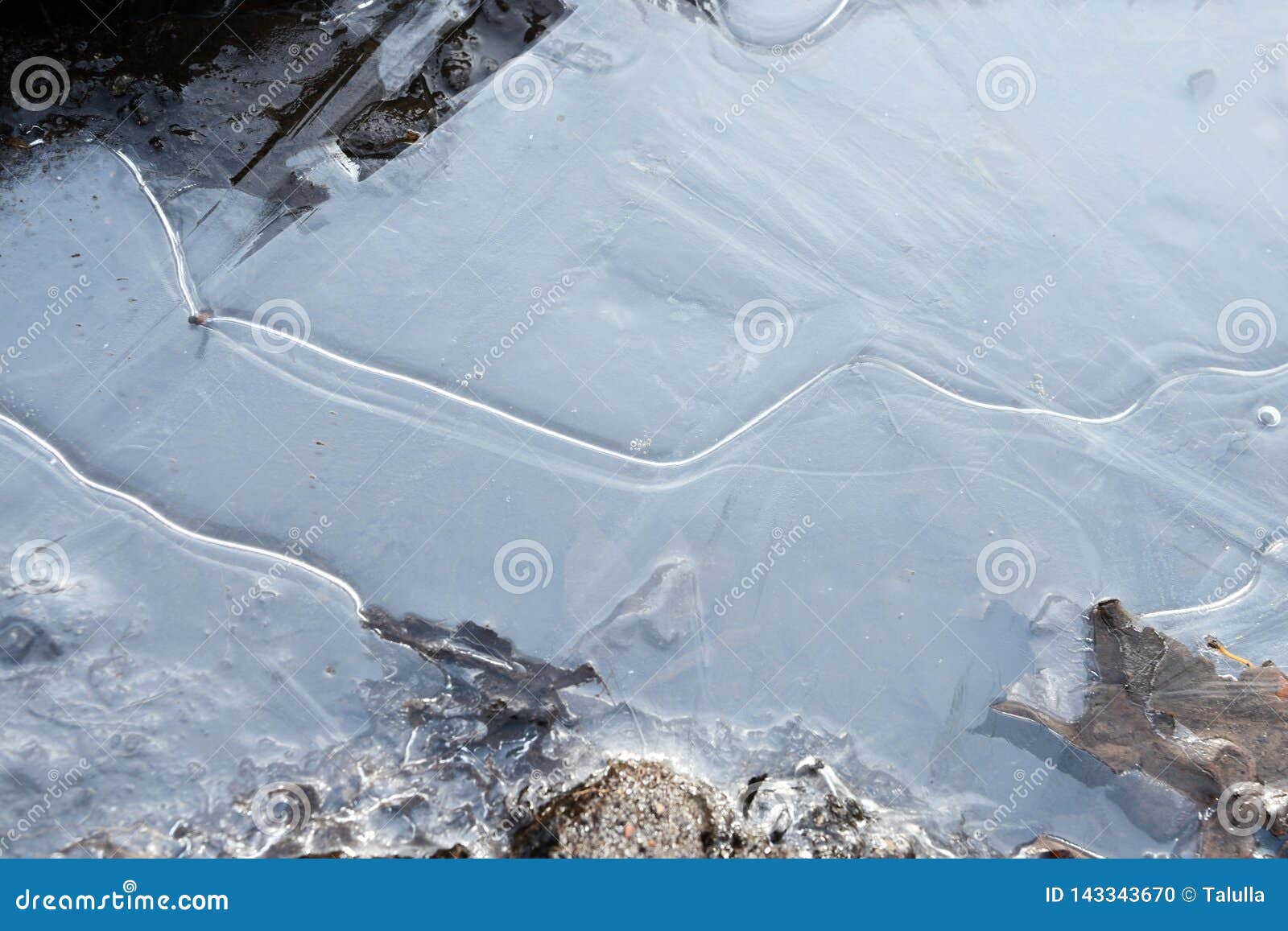 Ice on a Frozen Puddle in Spring Mud Stock Photo - Image of march ...
