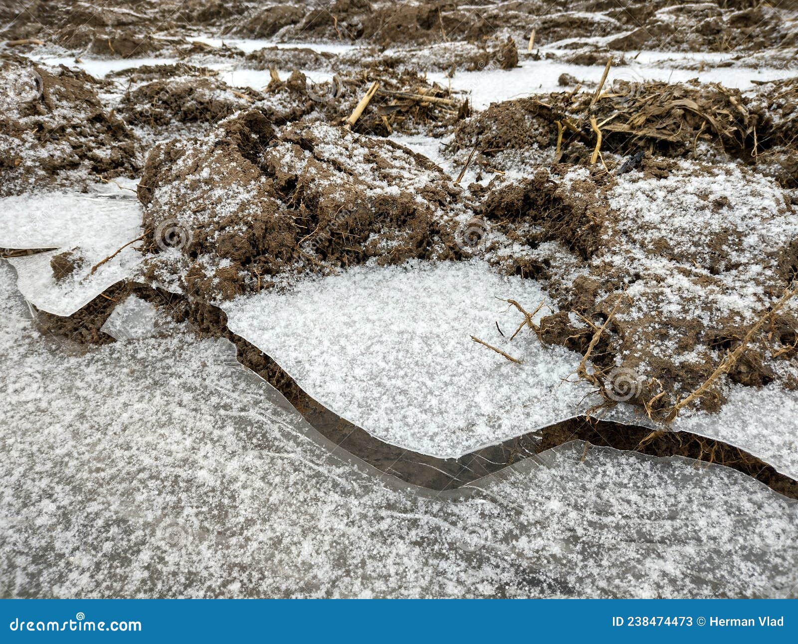Ice on the Ground in Winter Stock Image - Image of field, macro: 238474473