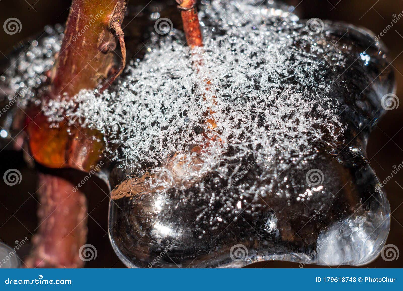 Ice Growth on a Branch with Frost Stock Photo - Image of frost, close ...