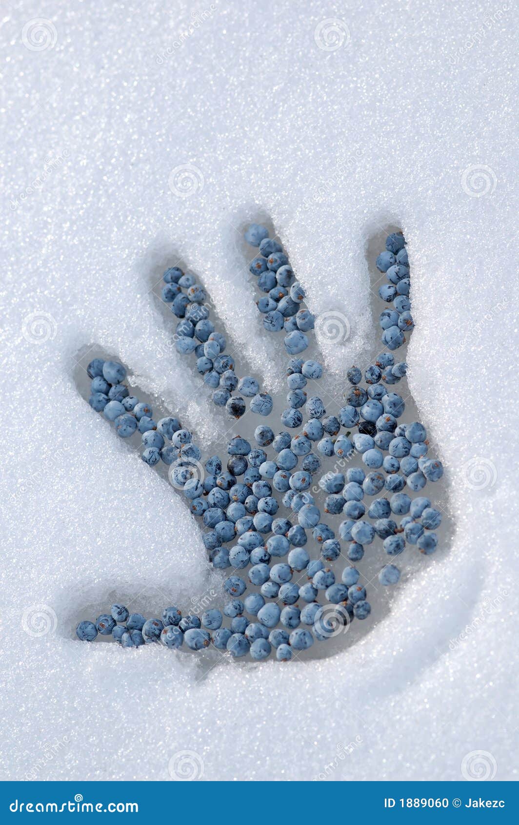 Ice hand stock photo. Image of friendship, together, january - 1889060