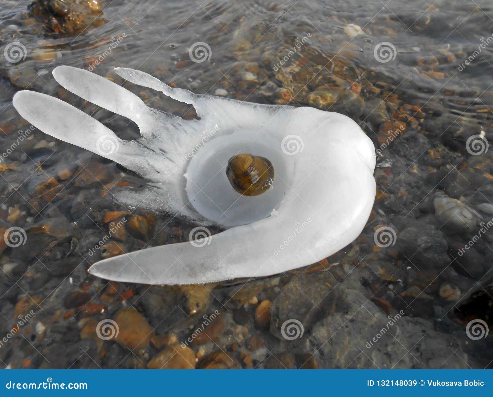 Ice hand conceptual photo stock image. Image of bright - 132148039