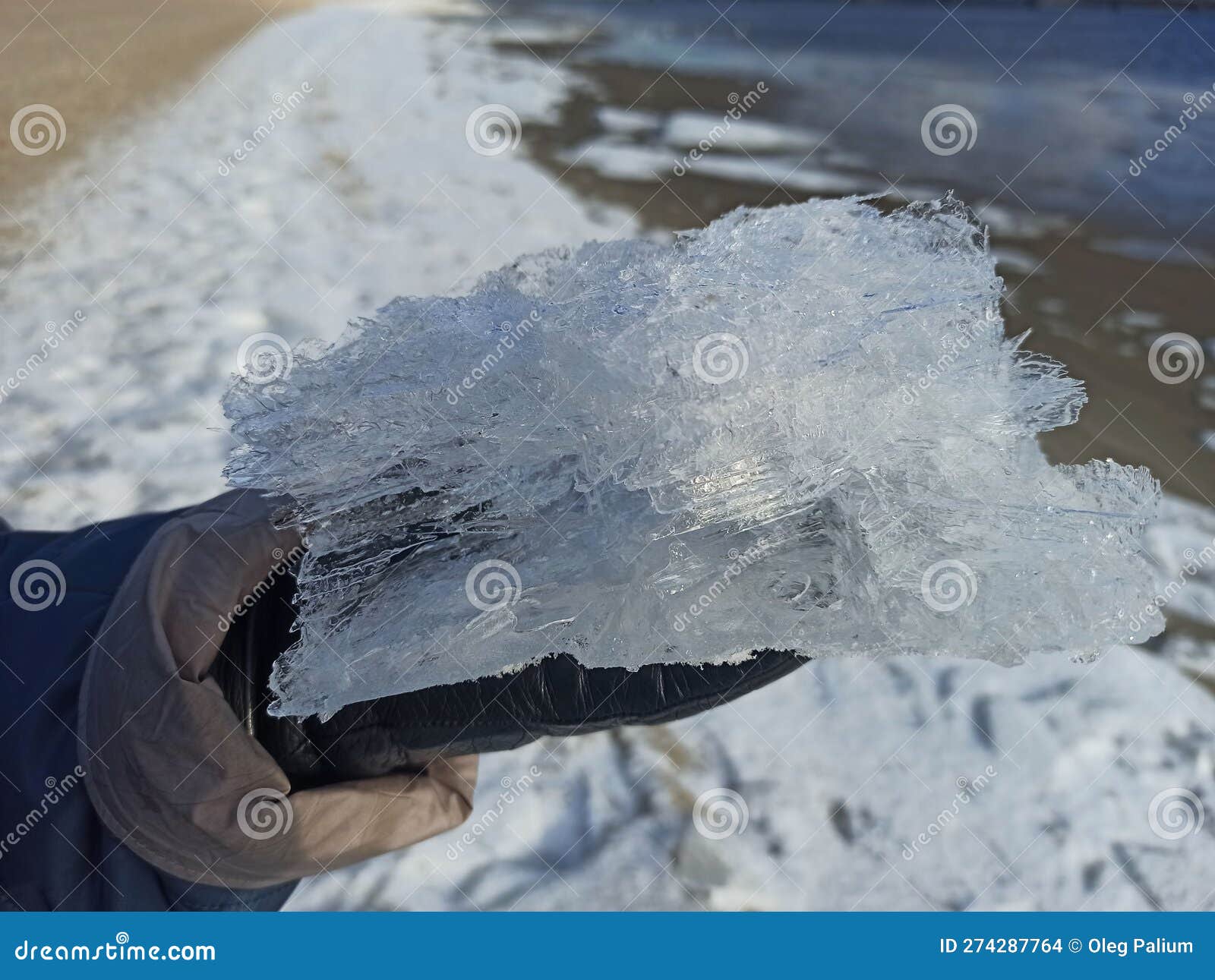 Ice on Hand in Winter Shot Close-up Stock Photo - Image of celebration ...