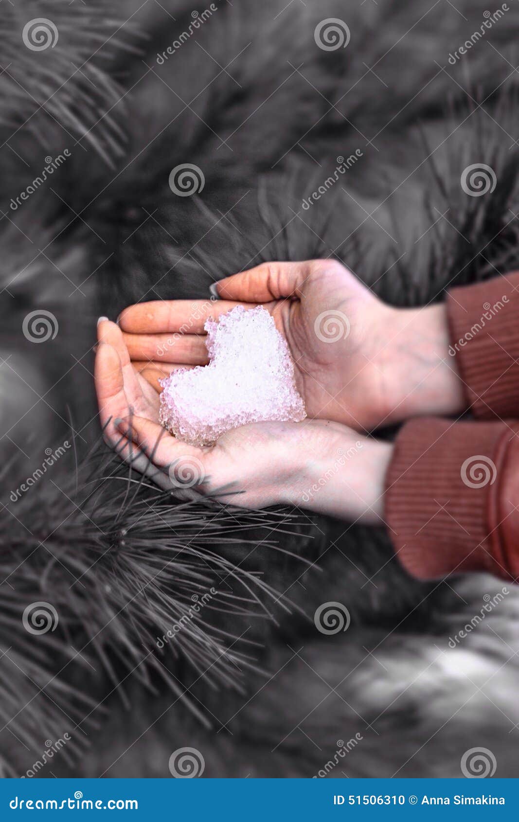 Ice heart stock photo. Image of hope, love, melting, heart - 51506310