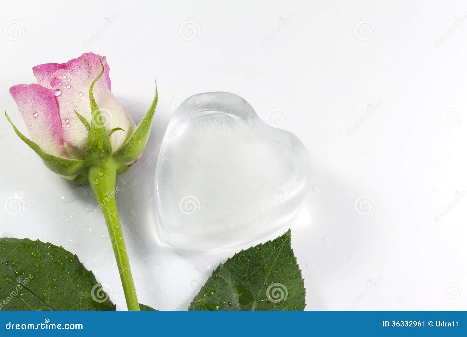 Ice Heart on White Abstract Valentine Love Background Stock Image ...